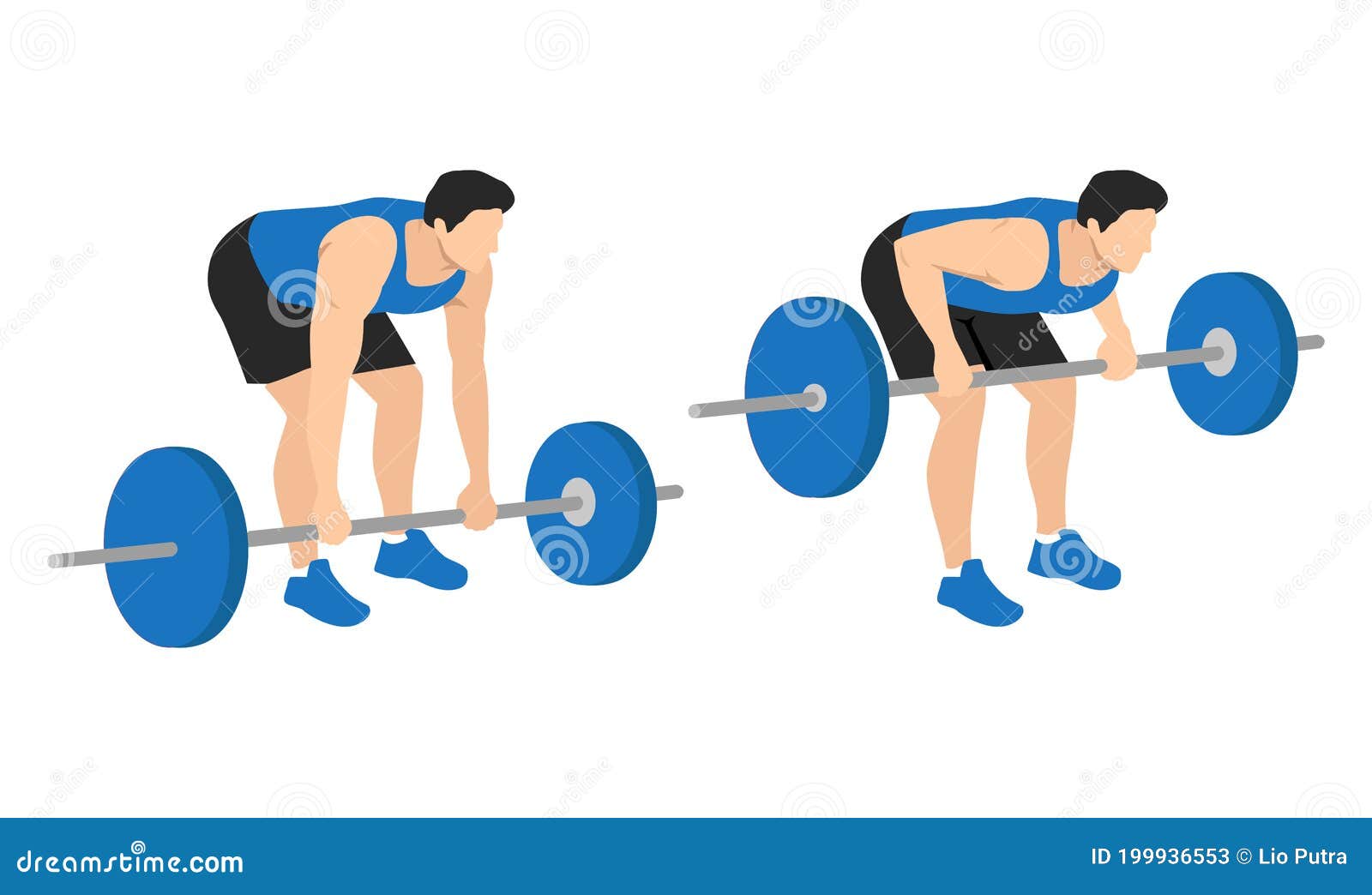 The Athlete Performs the Bent-over Barbell Rows from Floor Stock Vector ...
