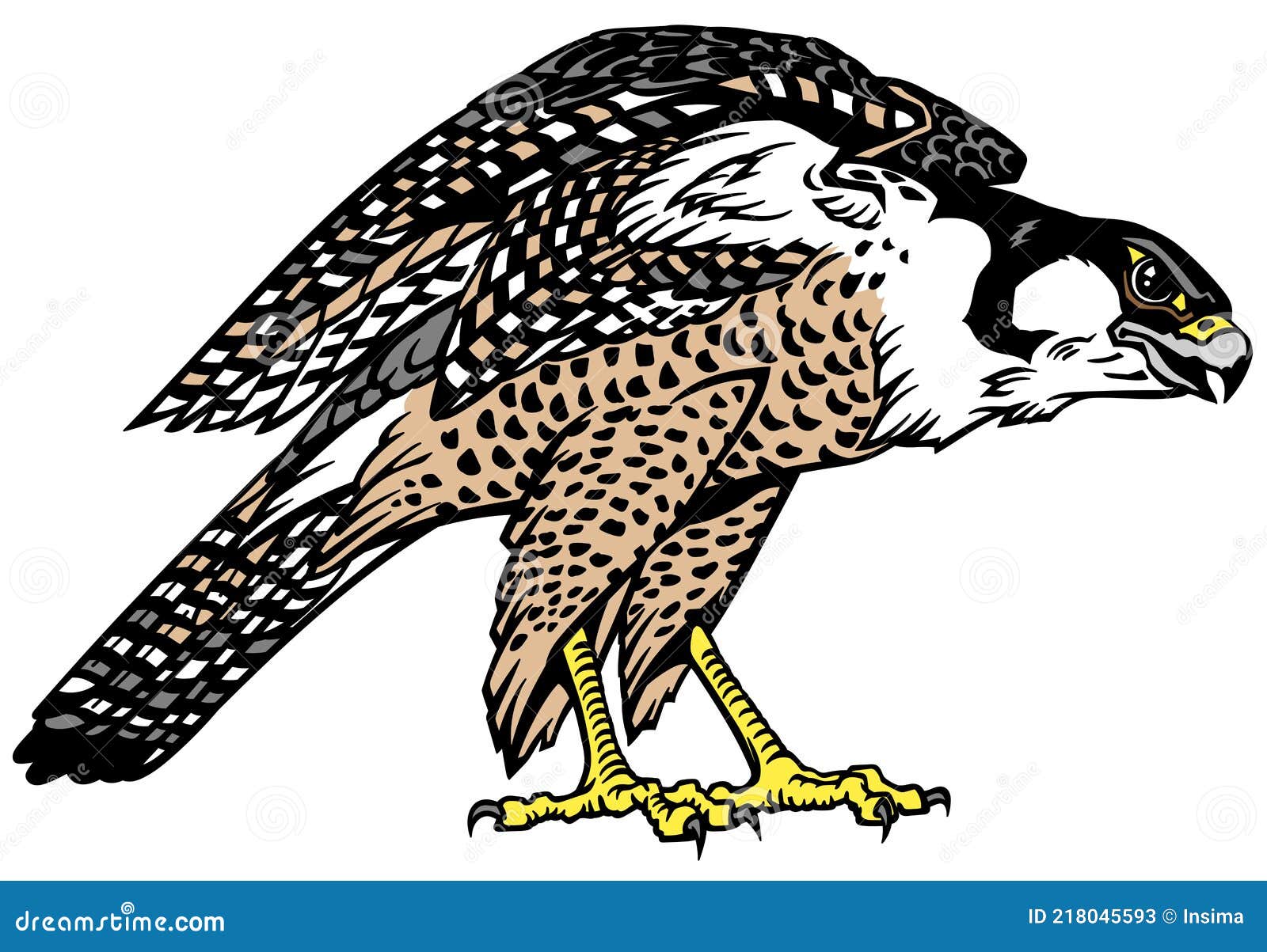 Falconry Set Vector | CartoonDealer.com #144709949