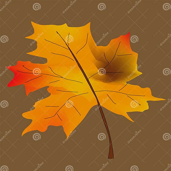 Fall Leaf Collection. Set of Autumn Leaves Stock Vector - Illustration ...