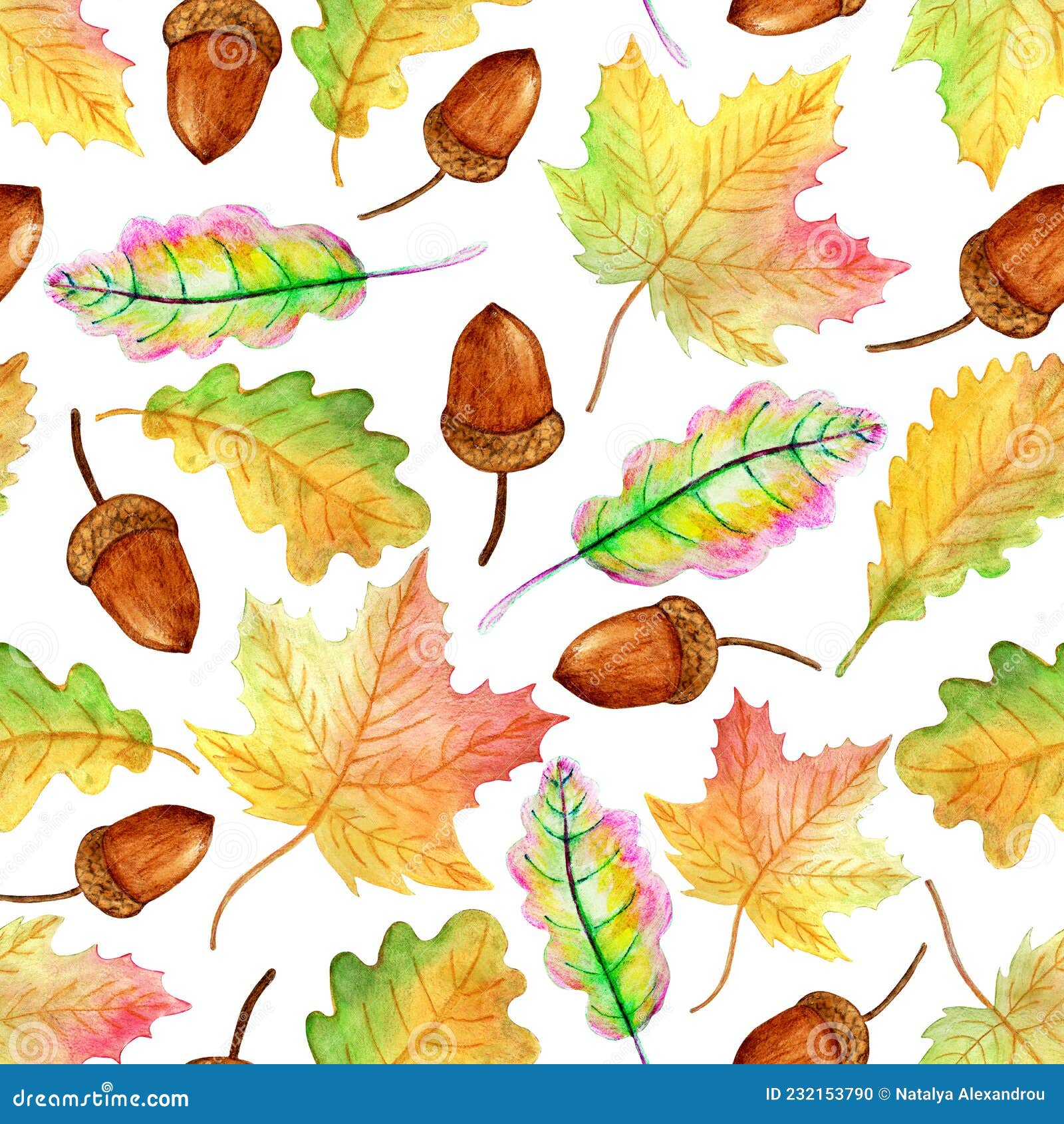 Autumn Leaves on a White Background. Stock Illustration - Illustration ...