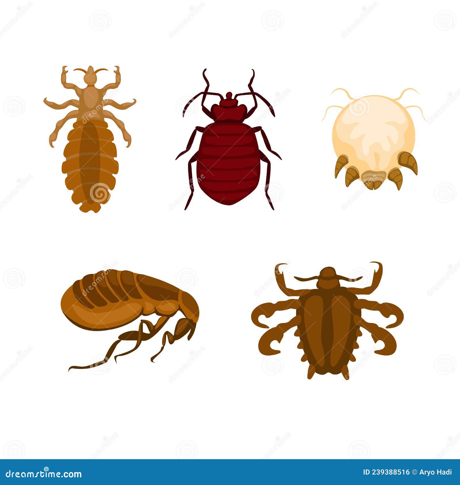 Boy With Lice. Illustration Of A Boy With Lice On His Head ...