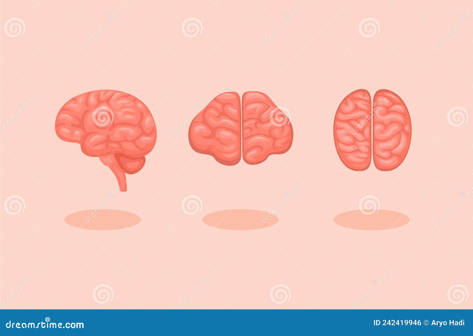 Brain 3d Icon in Top Side and Front Collection Set Cartoon Illustration ...