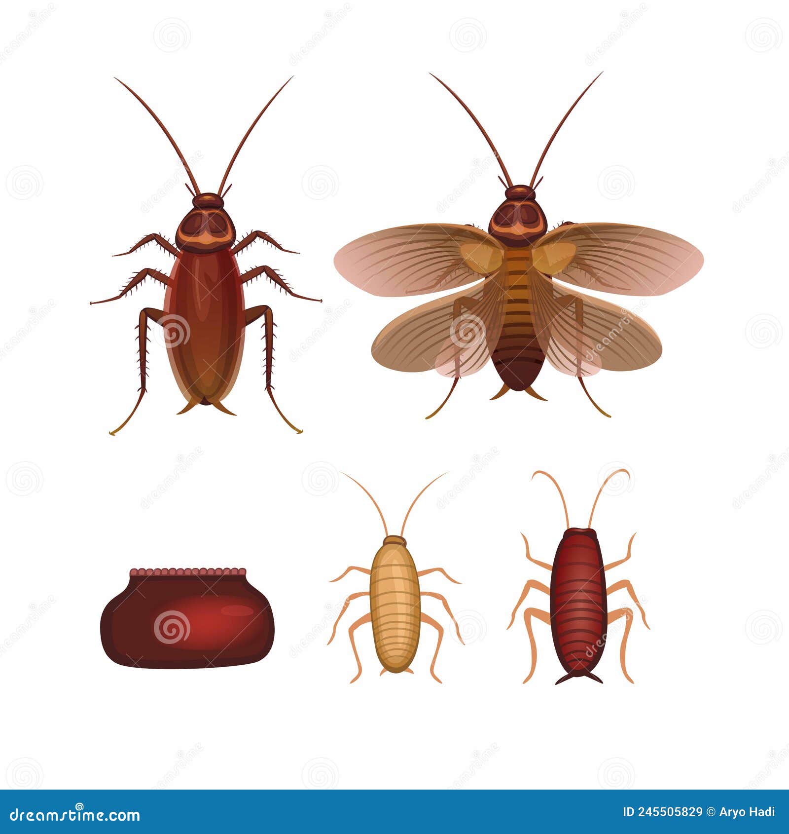 Cockroach Anatomy- Line Art With Labels On White Cartoon Vector ...