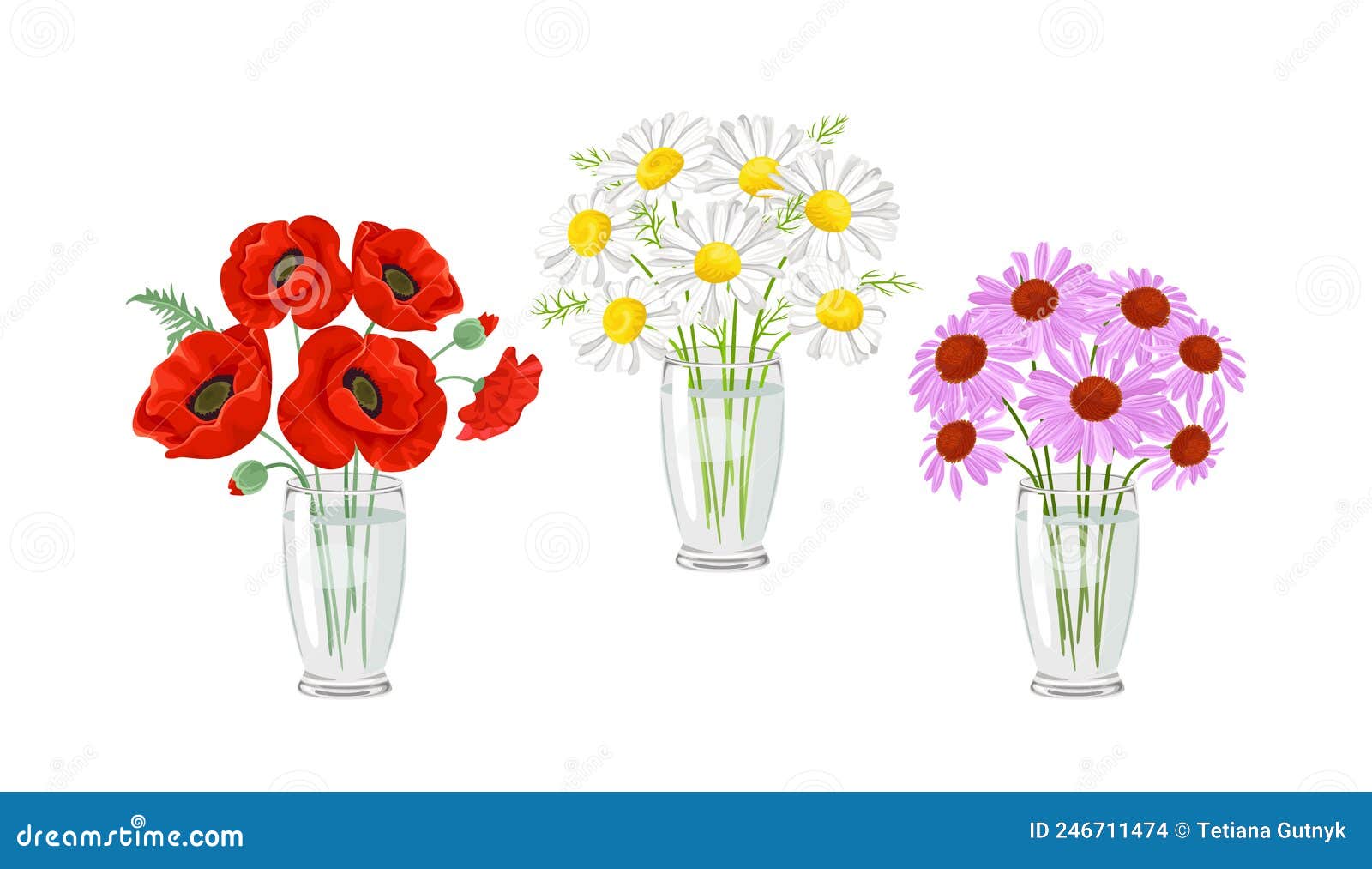 Purple Echinacea Flower, Coneflower One Line Art Drawing. Simple Vector ...