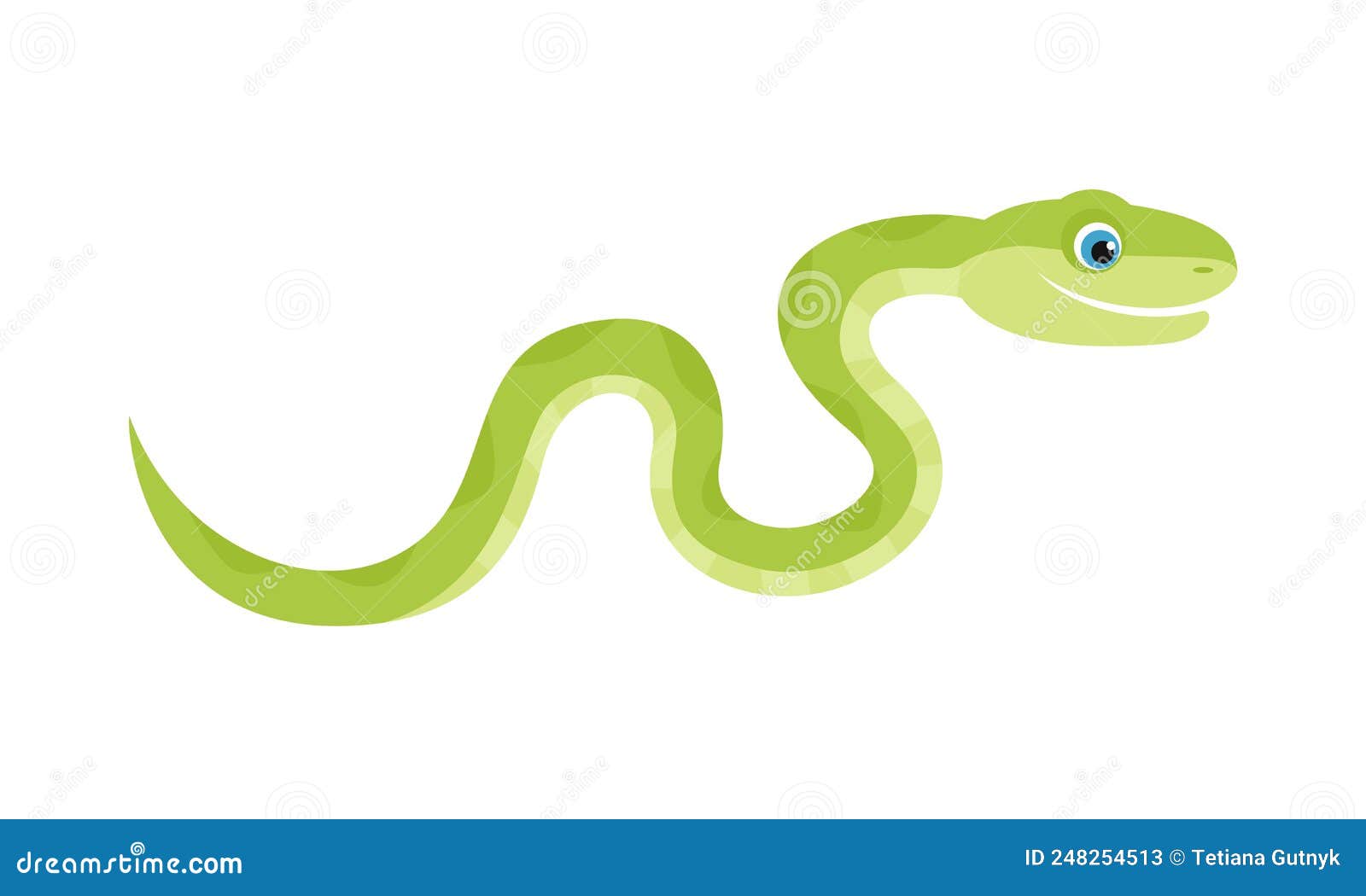 Cute Cartoon Green Snake Isolated on White. Vector Simple Flat ...