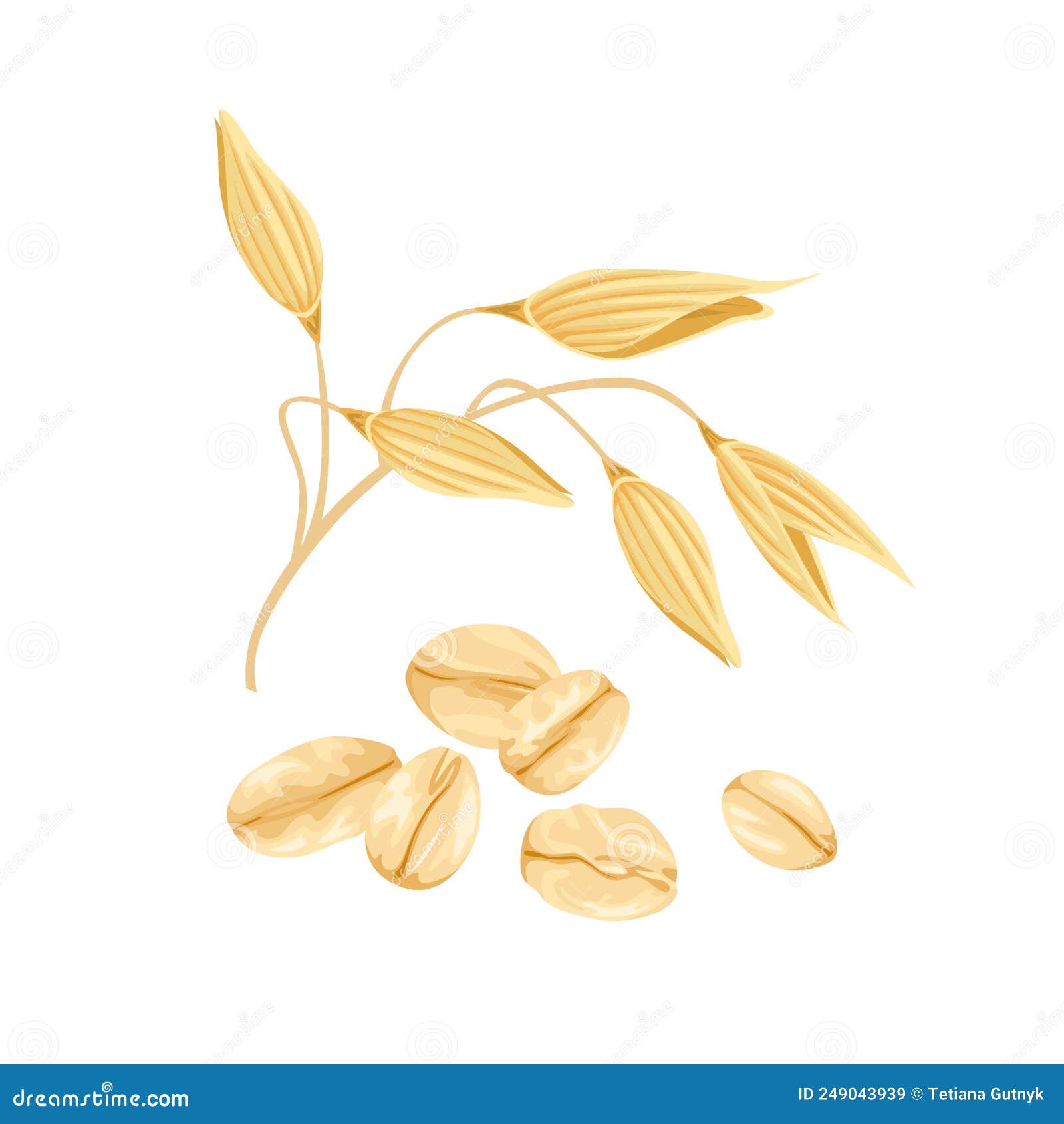 Oats Vector Cartoon Seamless Pattern For Template Farmer Market Design ...