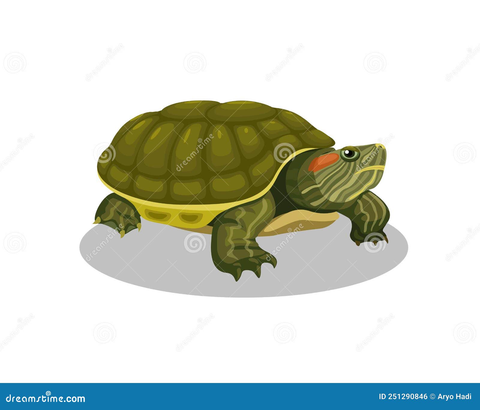 The Brazilian Turtle Is Also Known As The ''red-ear Slider'' Royalty ...