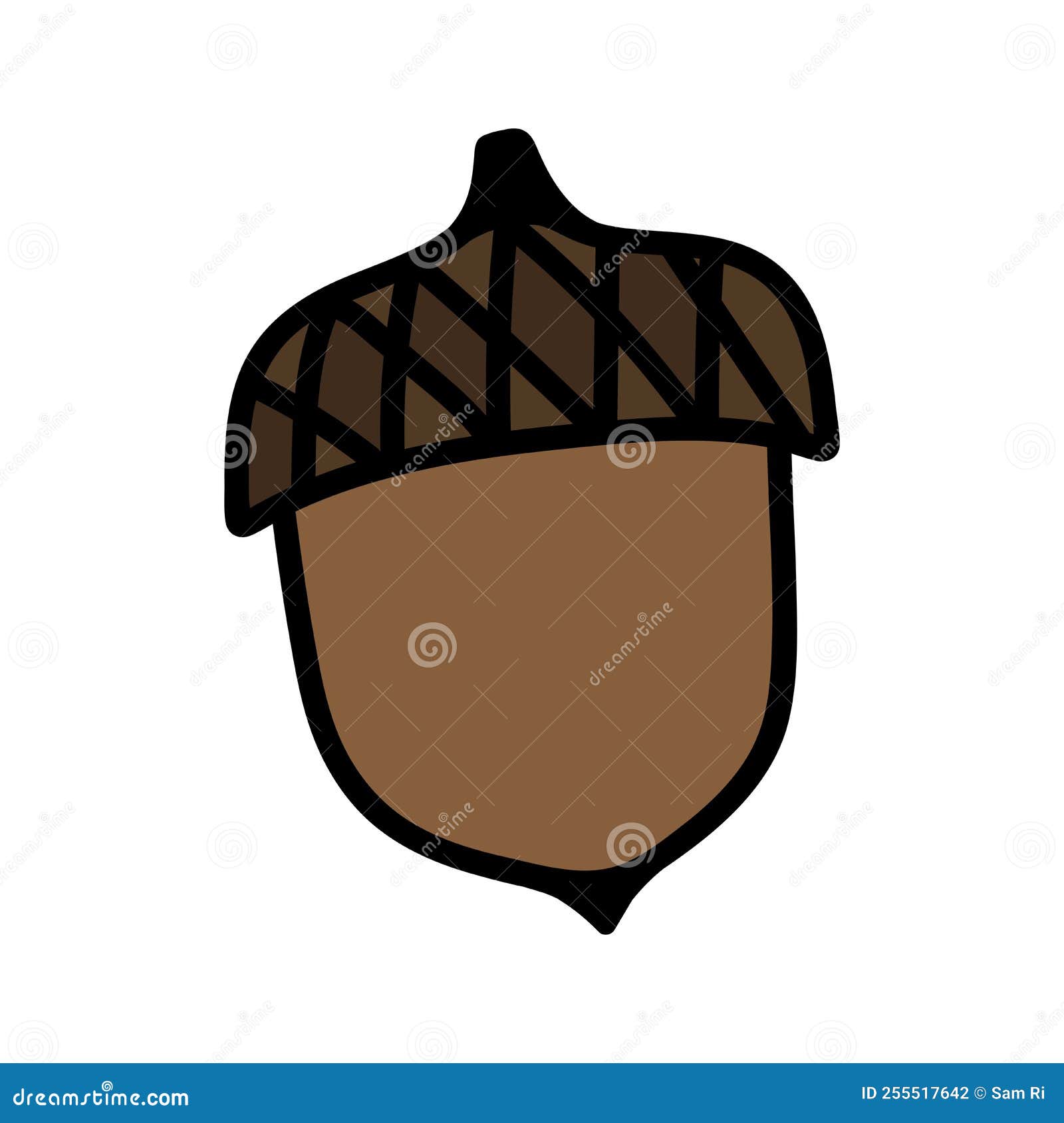 Doodle Acorn Isolated. Hand Drawn Vector Illustration of Autumn Acorn ...