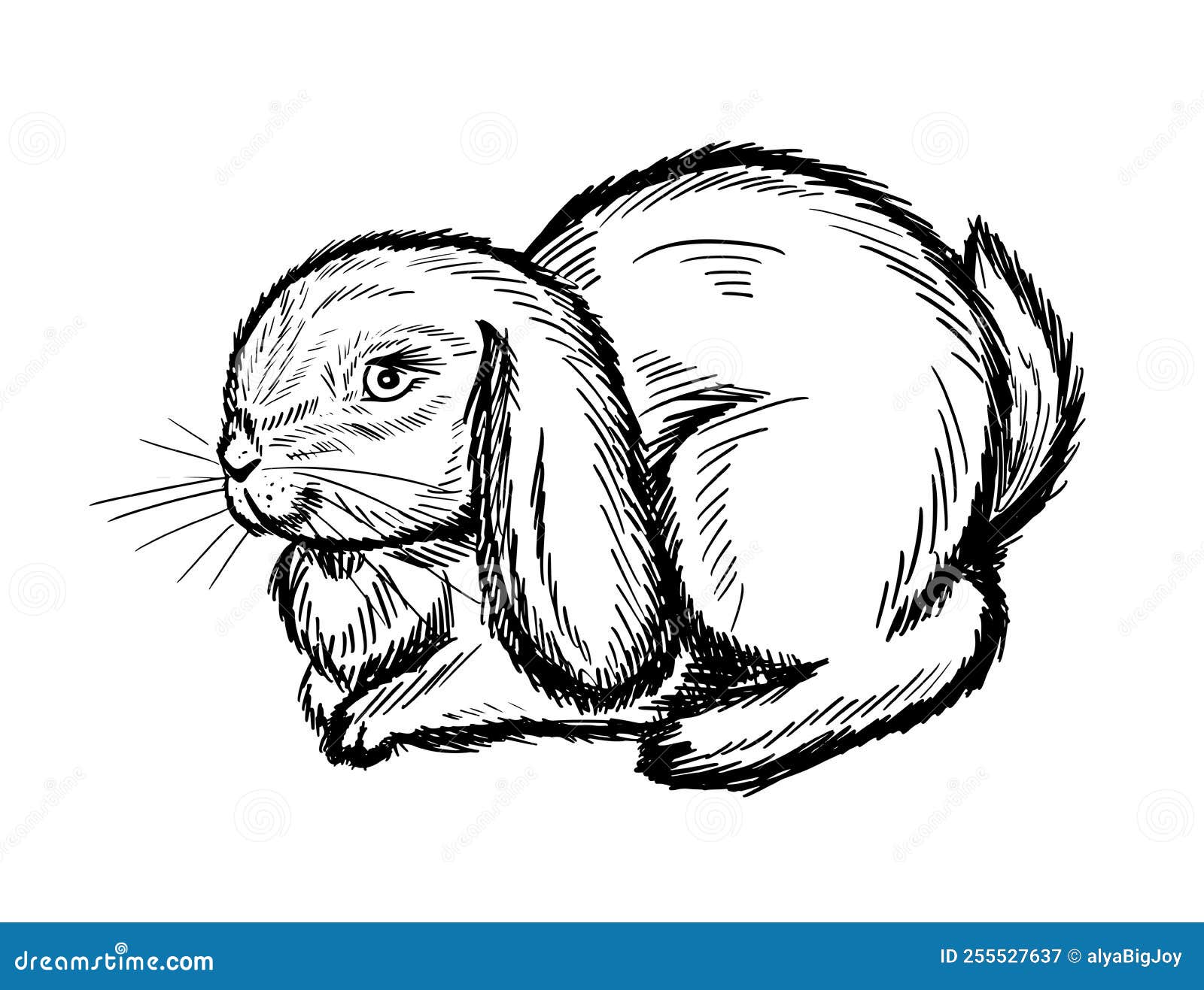 Cute Rabbit Bunny Hand Drawn Sketch.Ink Seated Hare Stock Image - Image ...