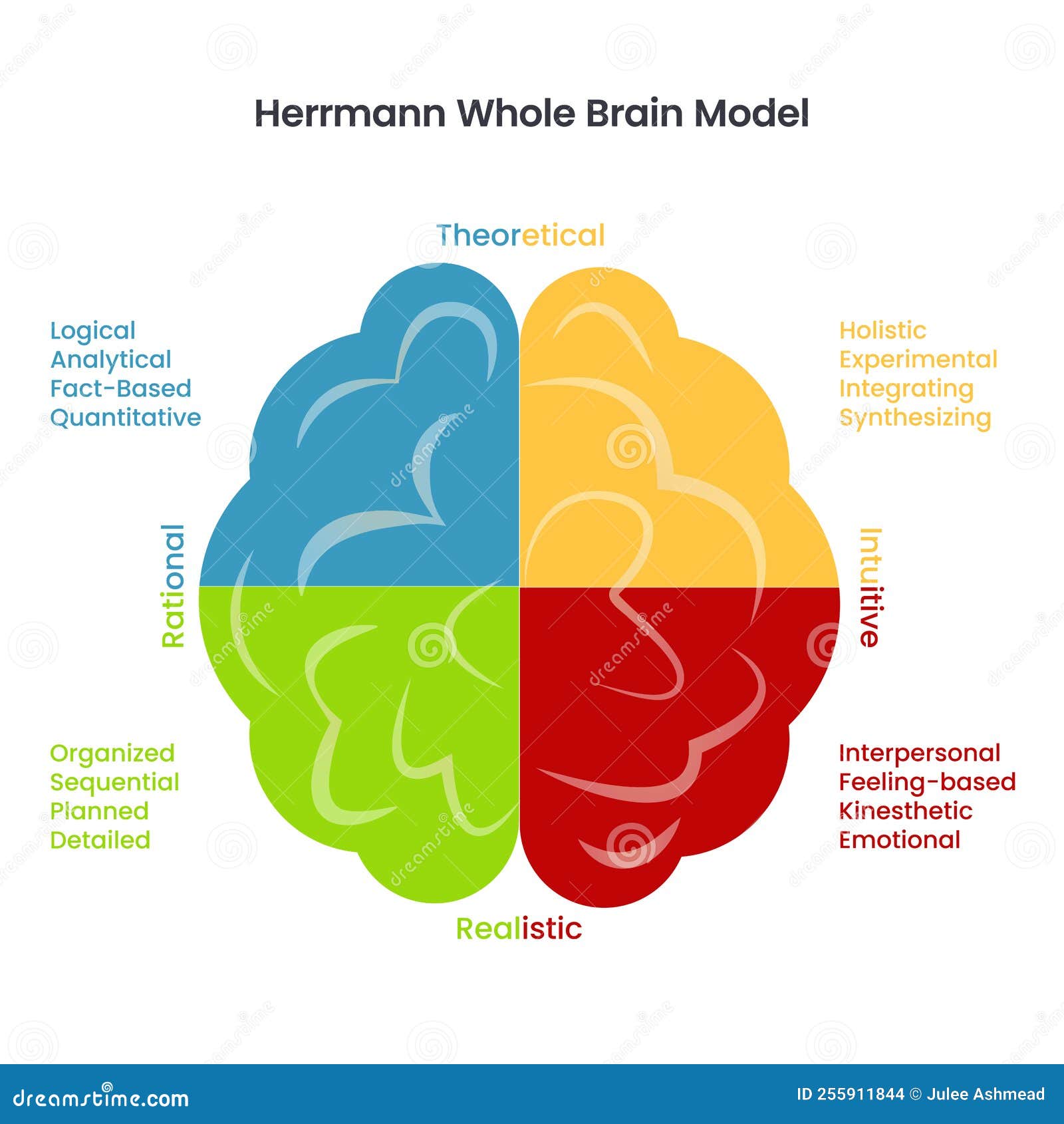 Cognitive Style Line Icons Collection. Perception, Learning, Processing ...