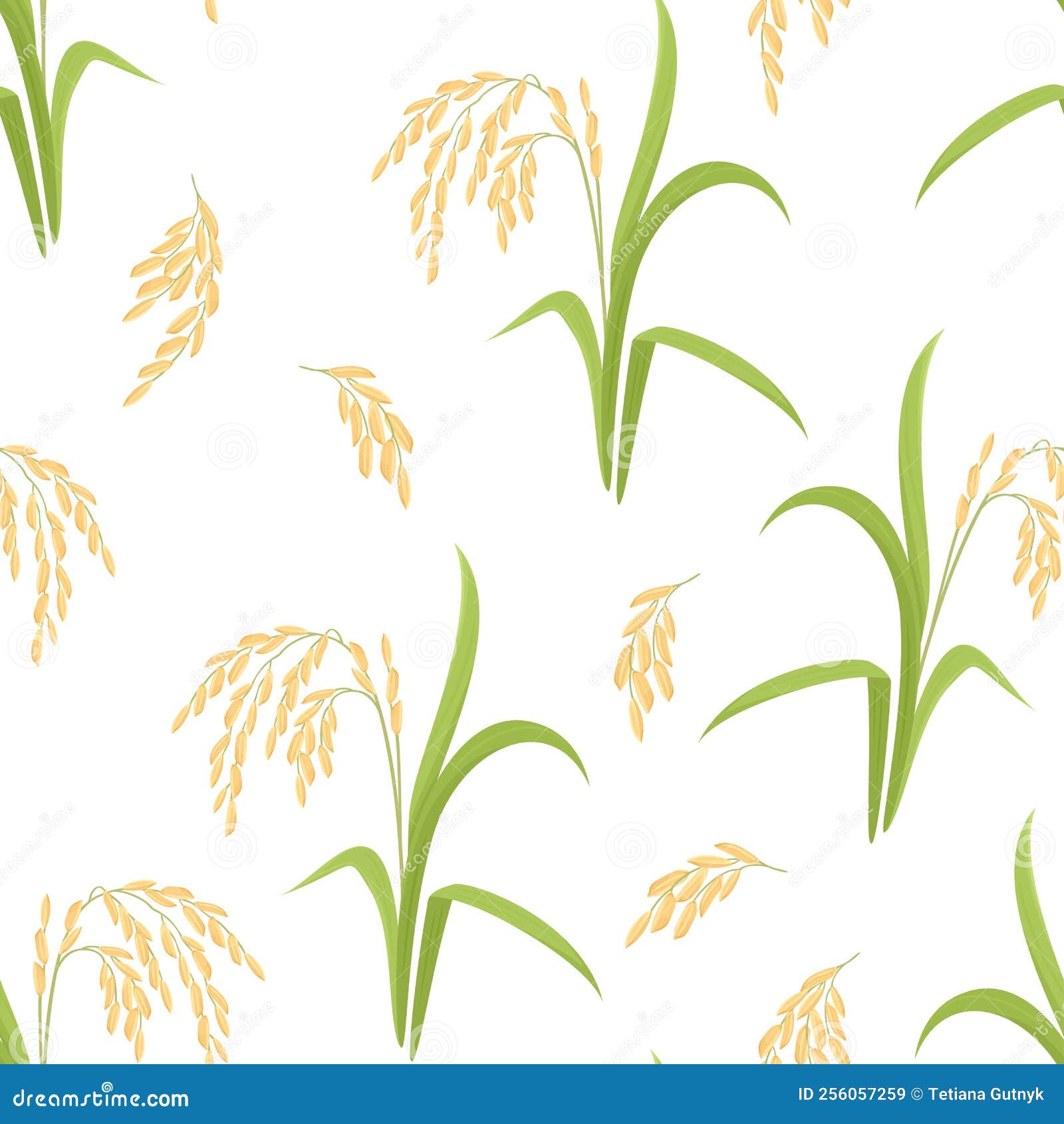 Rice Plant Seamless Pattern. Botanical Background with Paddy Rice Ear ...