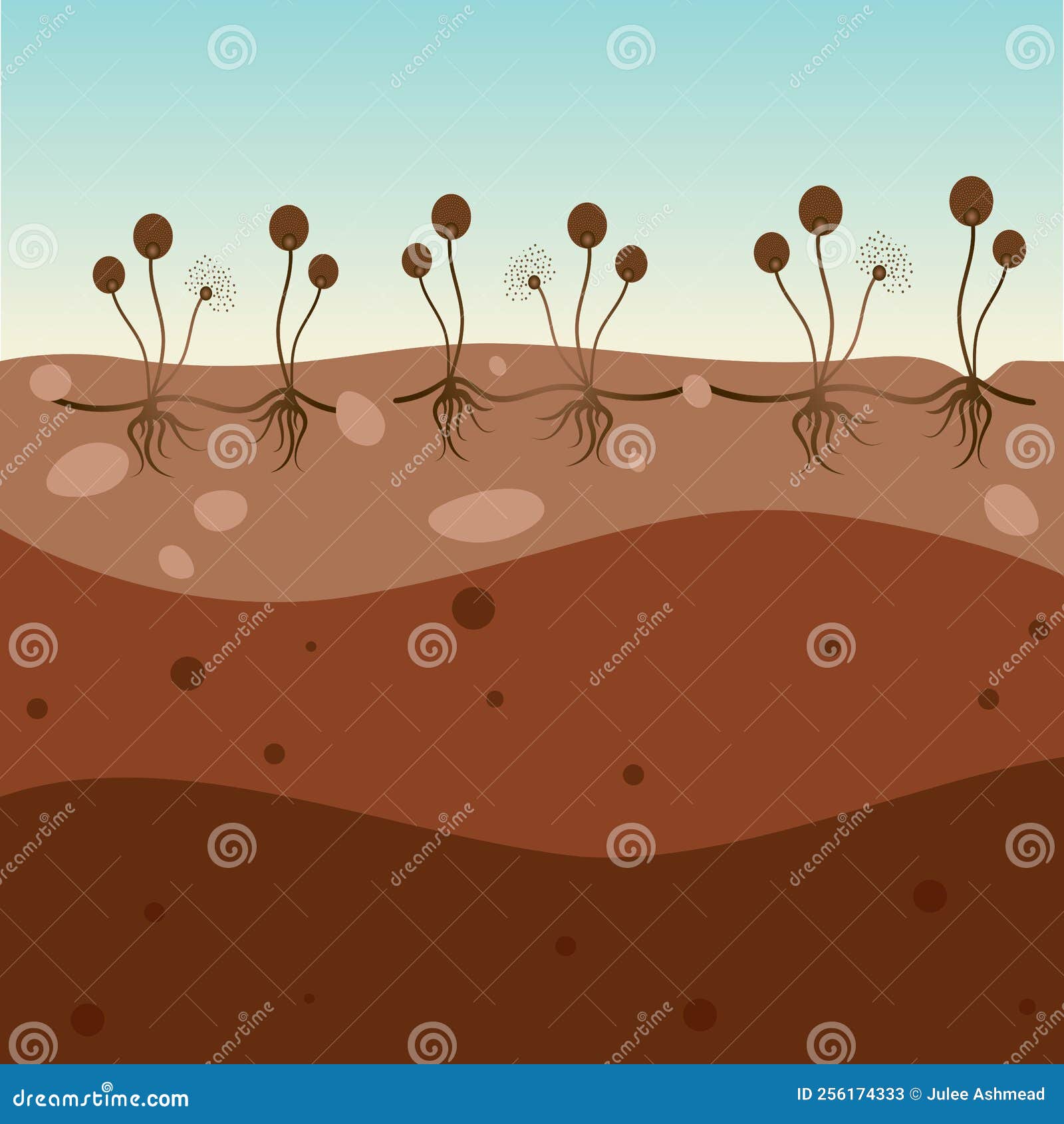 Rhizomucor Fungi, 3D Illustration. Filamentous Fungi Commonly Found In ...
