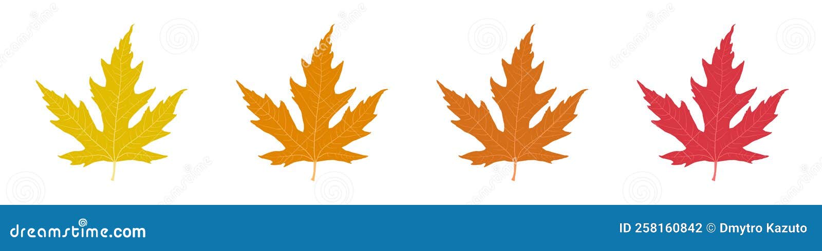 Set of Maple Leaves. Vector Yellowed Maple Leaves. Clipart Isolated on ...