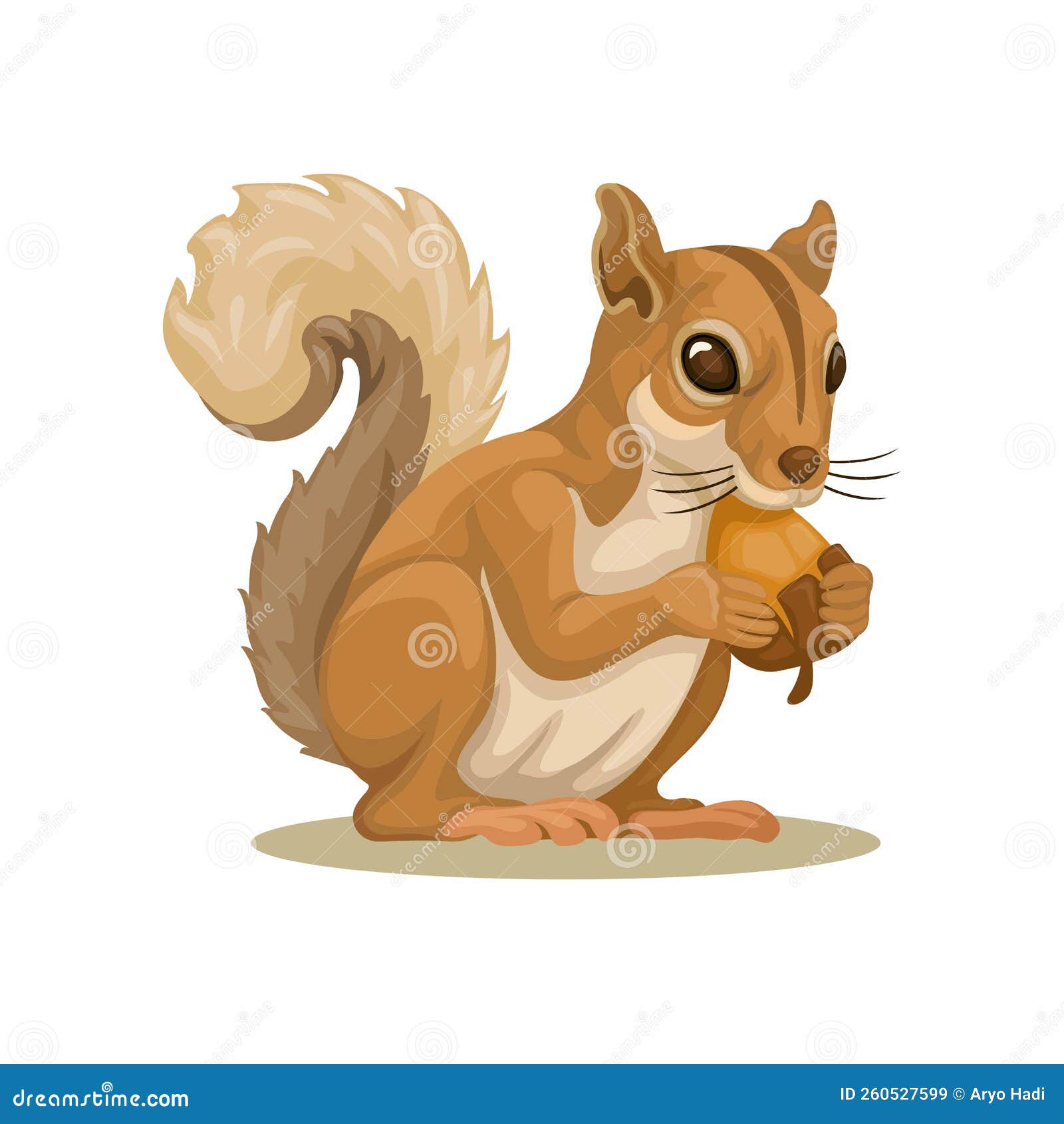 Squirell Eating Walnut Character Mascot Cartoon Illustration Vector ...