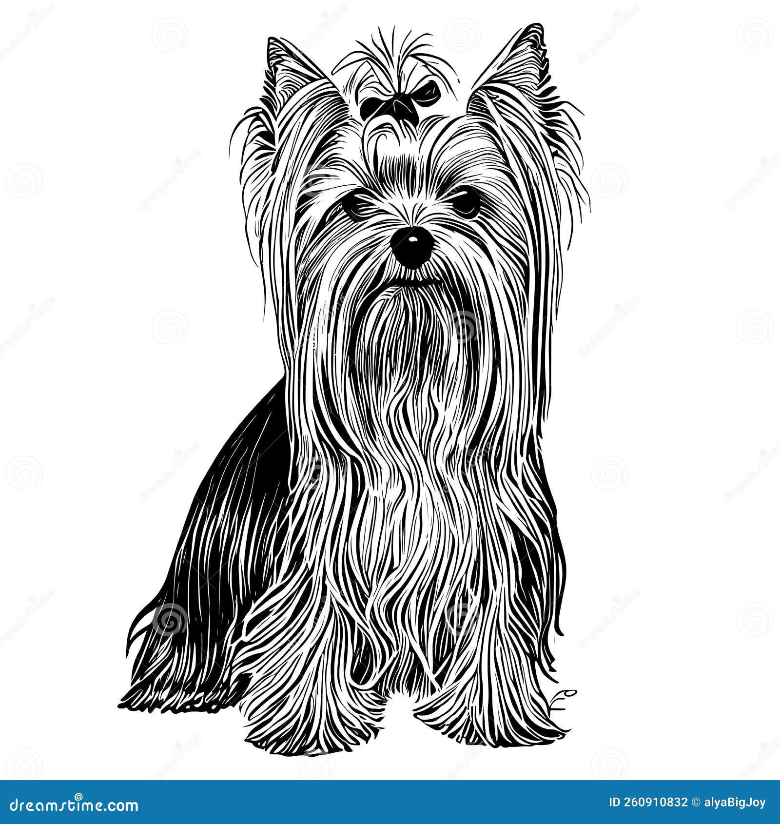 Dog Breed Yorkshire Terrier Sketch Hand Drawn in Engraving. Stock ...