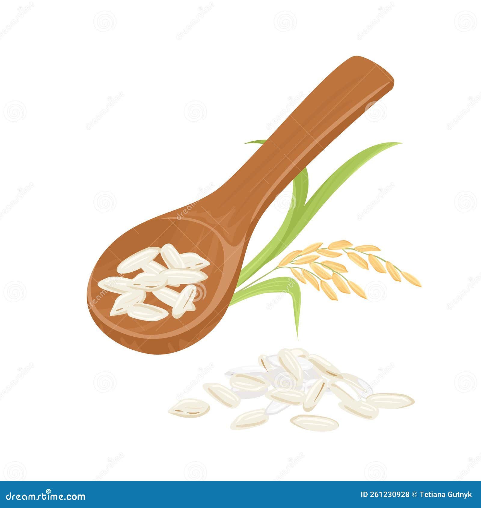 Rice Seeds in Wooden Spoon and Plant Isolated on White Background ...