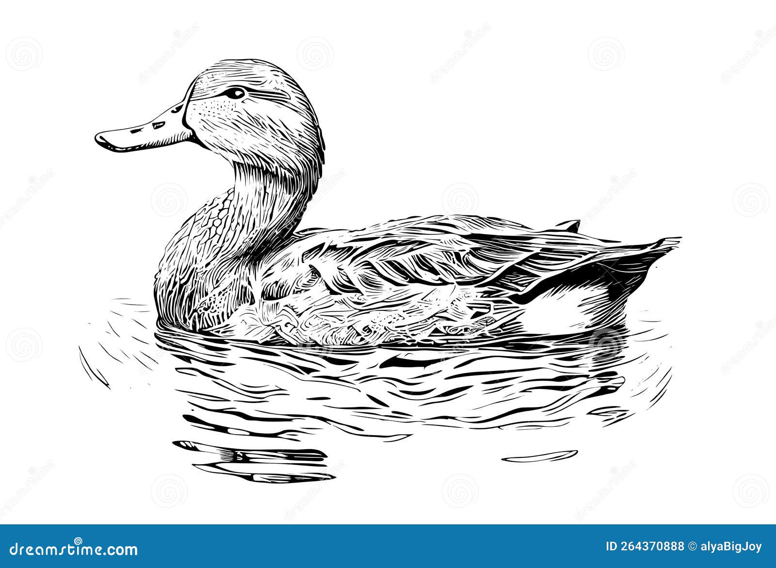 Duck Swimming Sketch Hand Drawn Farming Hunting Stock Vector ...