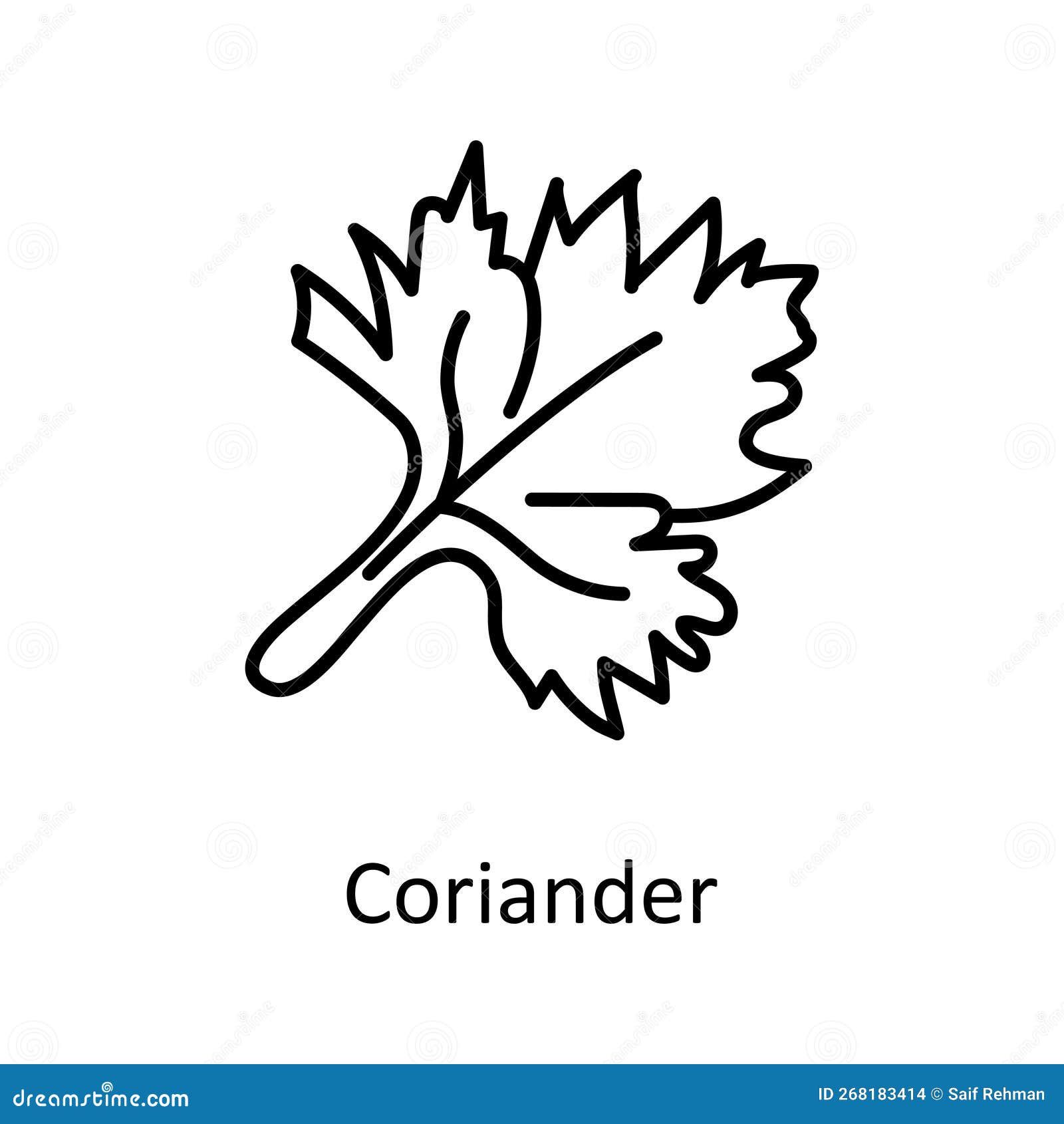 Coriander Vector Outline Icon Design Illustration. Nature Symbol on ...