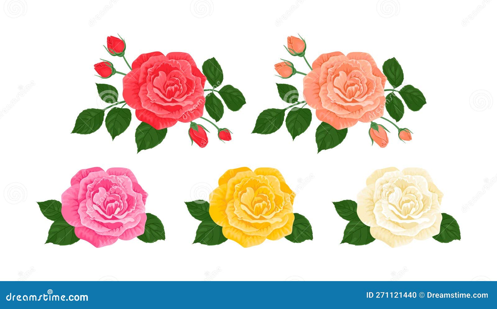 Rose Flowers Set. Beautiful Roses of Different Colors. Red, White, Pink ...