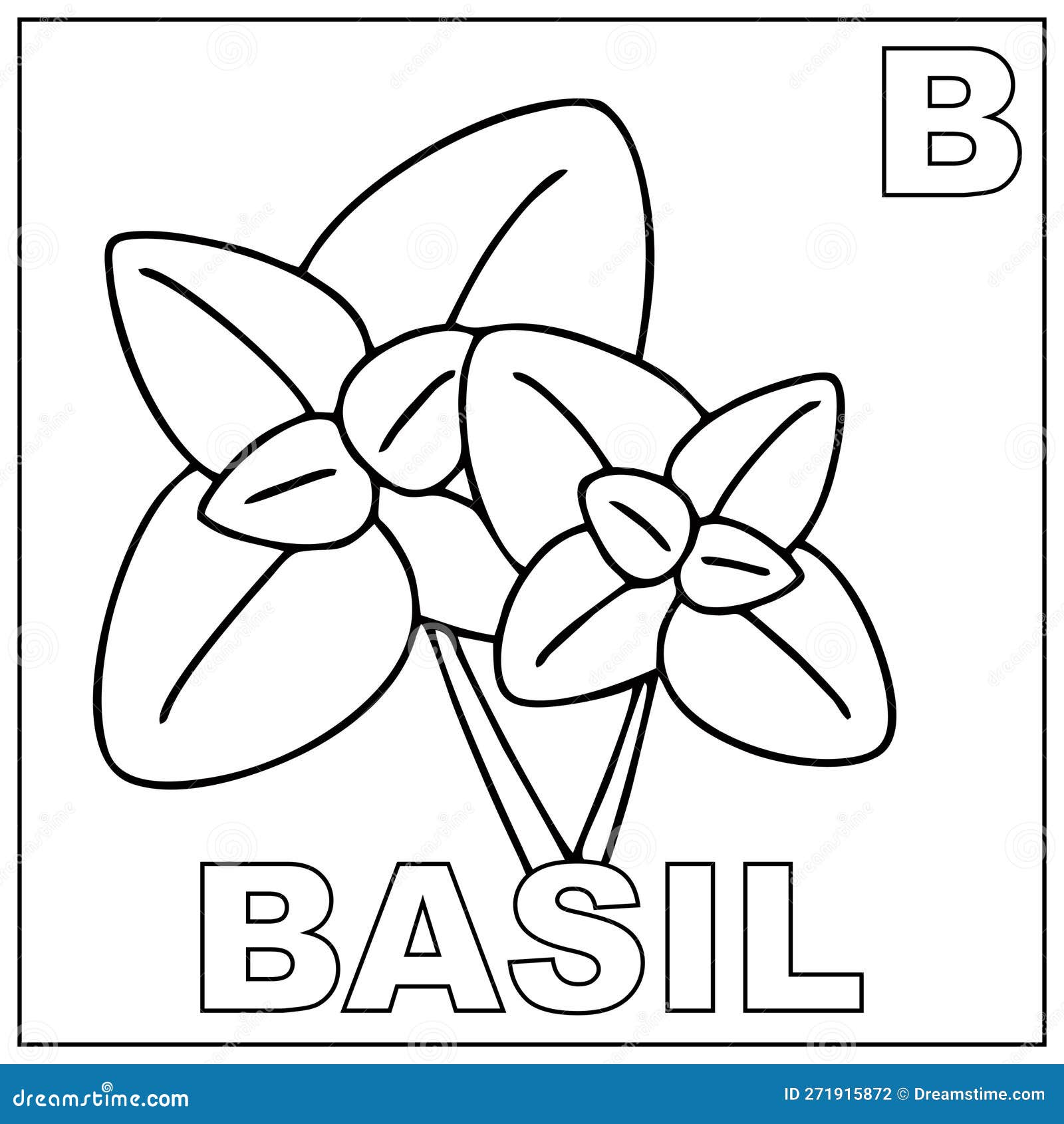 Coloring Book for Children: Balsam (Basil). Coloring Page with the ...