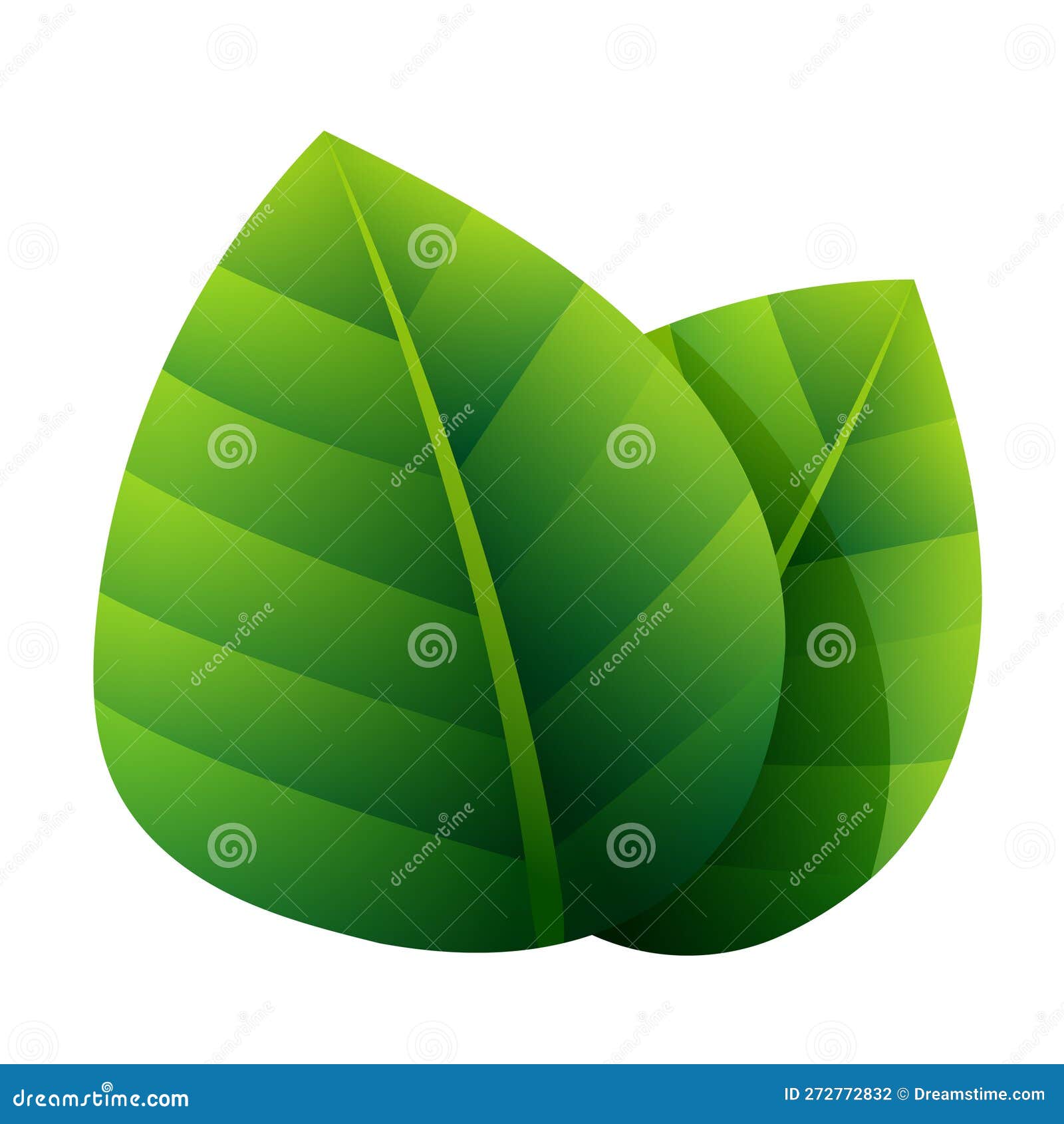 Green Leaves. Two Leaves. Vector Clipart Isolated on White Background ...