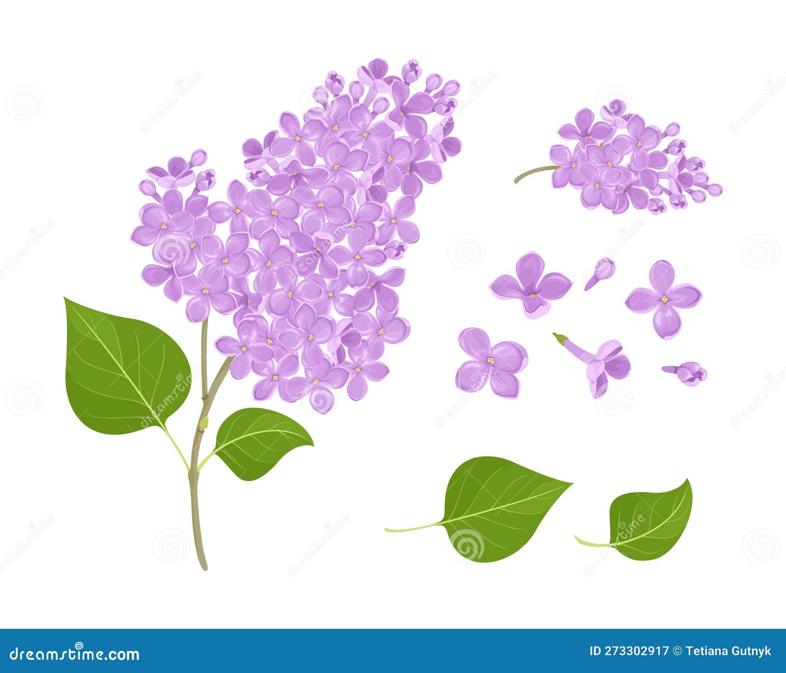 Lilac Flowers Set. Vector Cartoon Illustration of Lilac Branch with ...