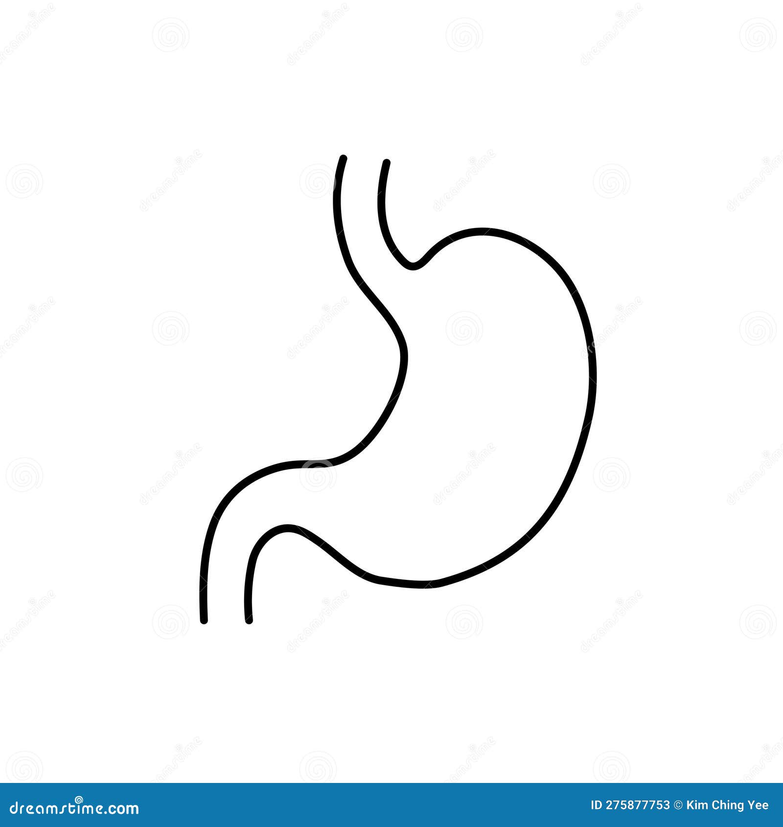Stomach Line Icon Medical Outline Symbol. Flat Line Stomach Gastric ...