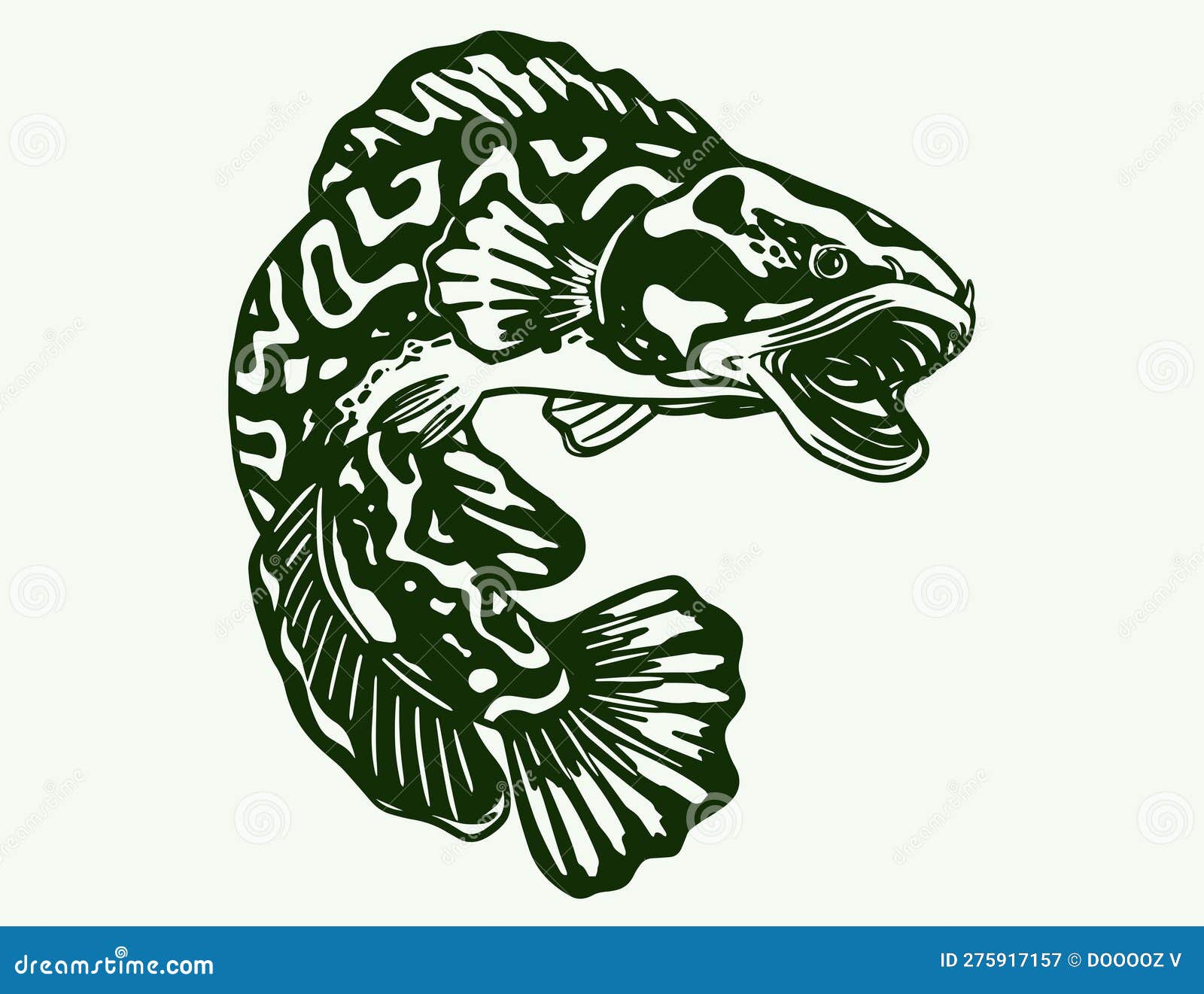 Snakehead Fish Channa Vector Illustration Stock Vector - Illustration ...