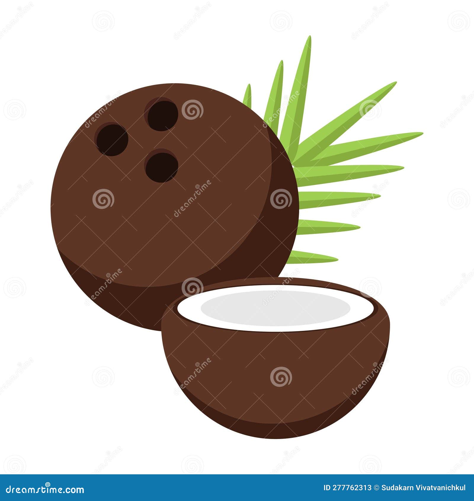 Coconut Cartoon Illustration. Stock Vector - Illustration of fruit ...