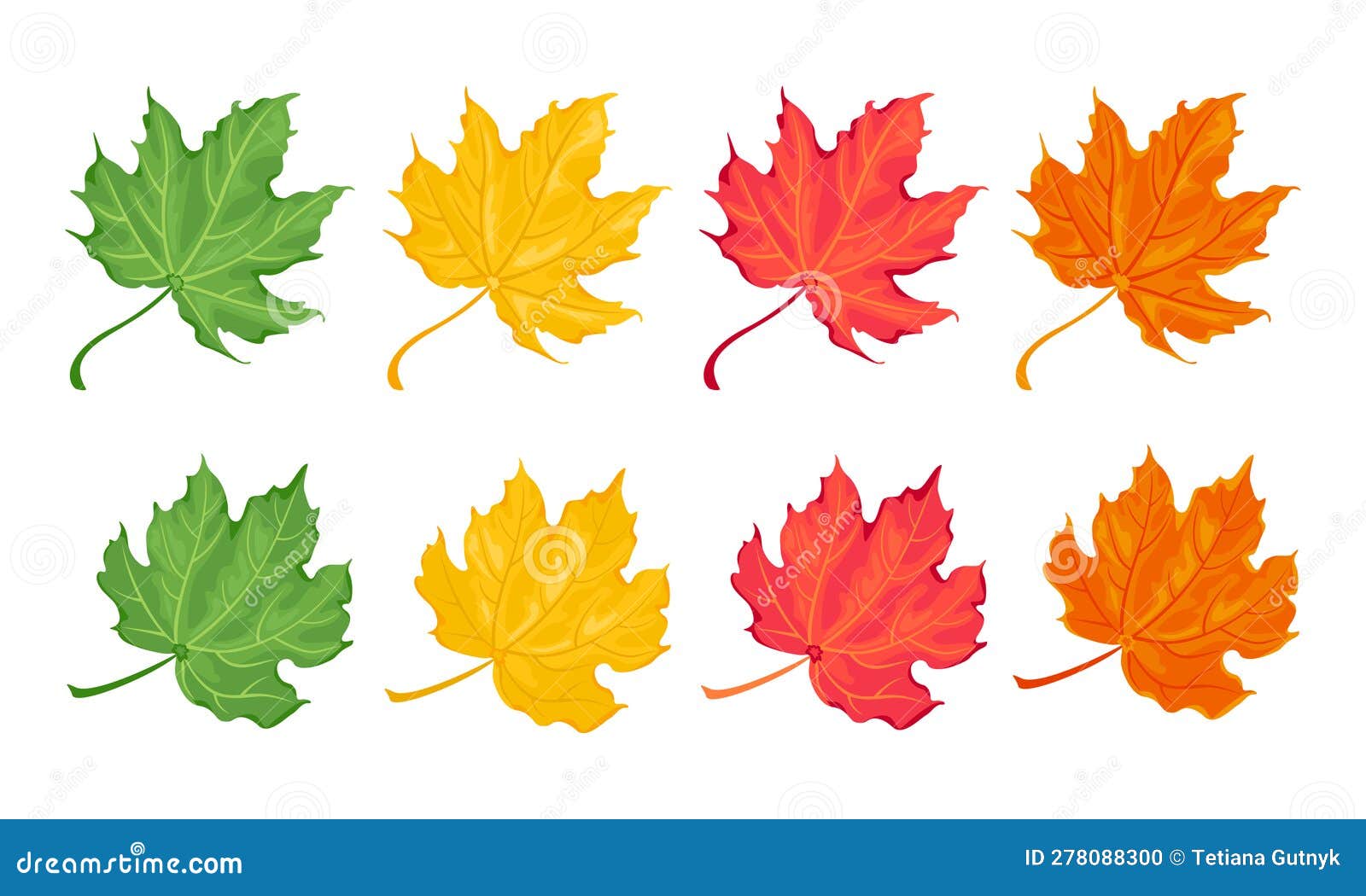 Set of Colorful Maple Leaves. Vector Cartoon Illustration Stock Vector ...