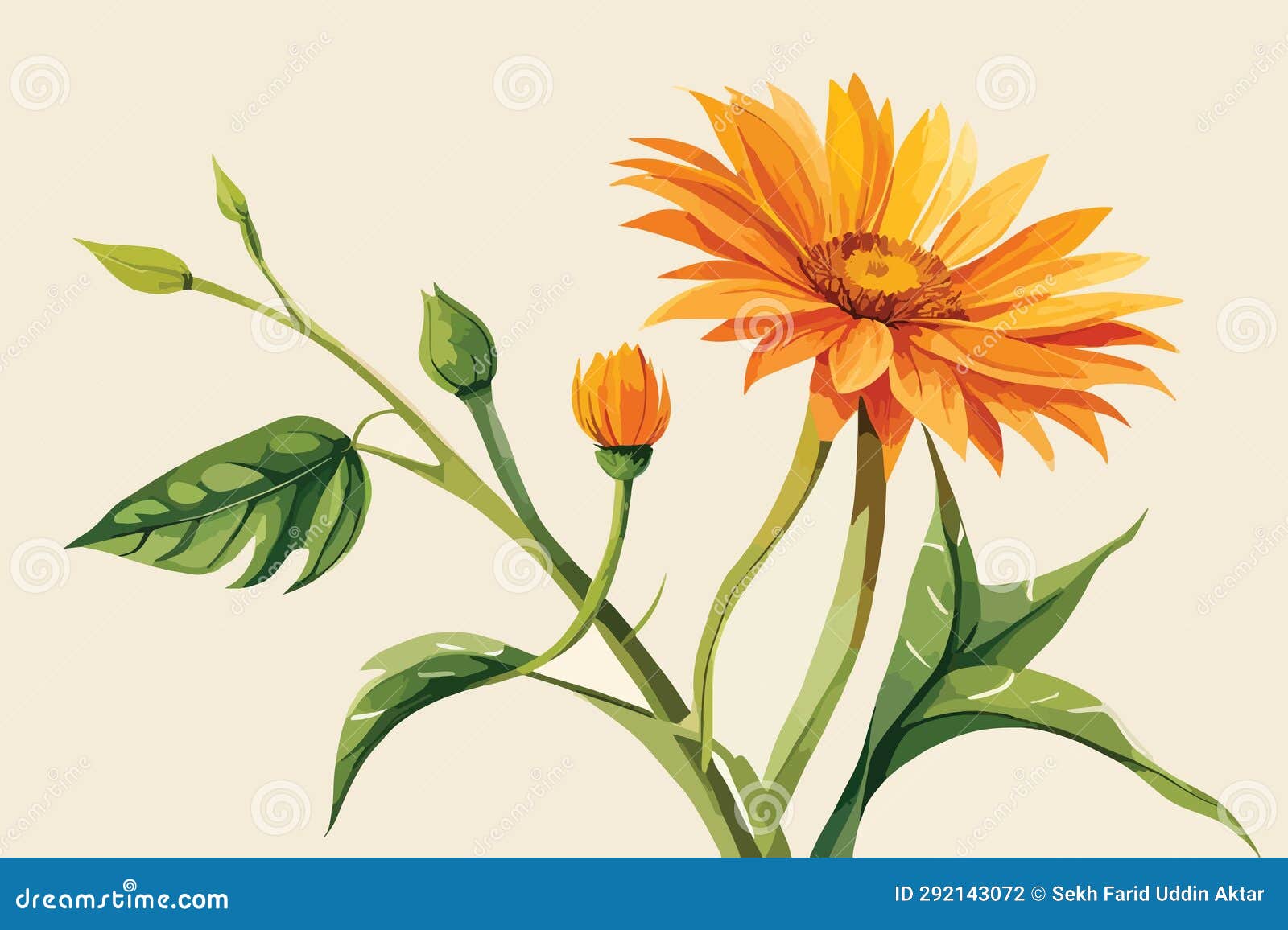 Calendula Flower Watercolor Illustration Made with Ai Stock Vector ...