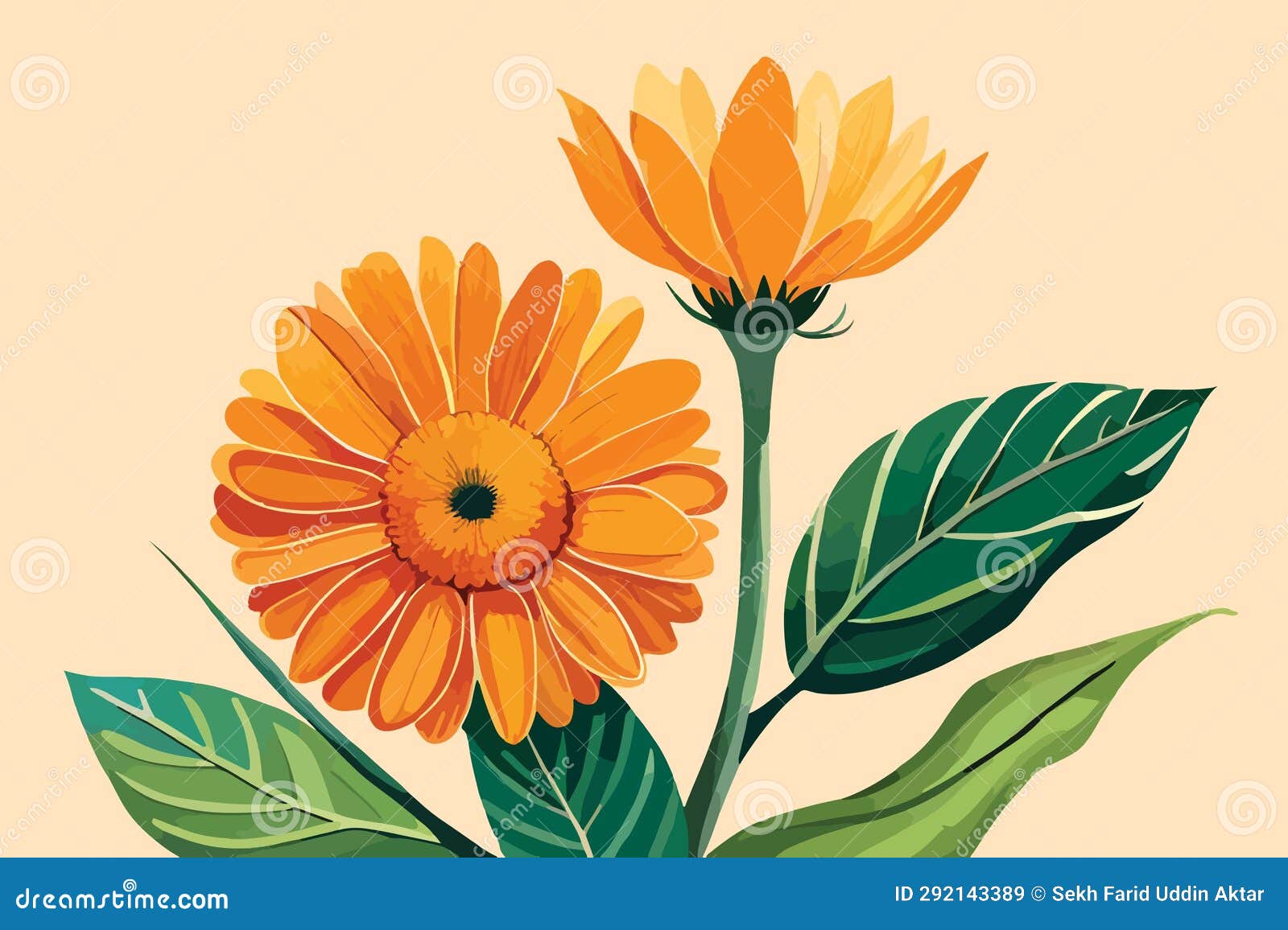 Calendula Flower Watercolor Illustration Made with Ai Stock Vector ...