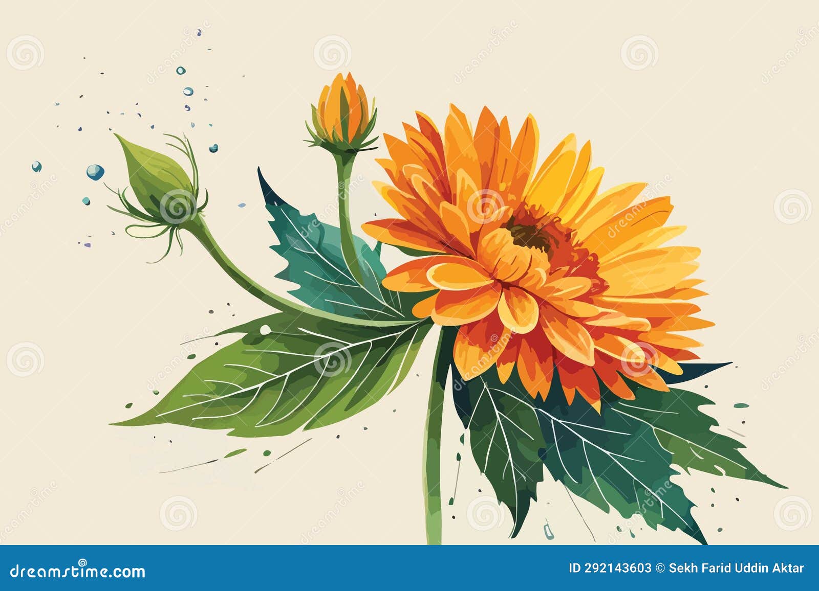 Calendula Flower Watercolor Illustration Made with Ai Stock ...
