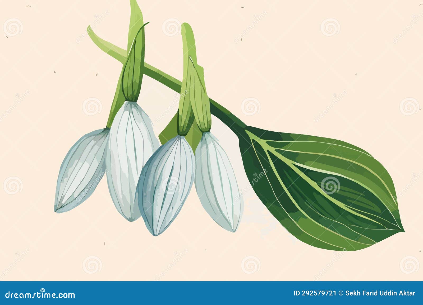 Snowdrop Flower Watercolor Art and Illustration Created with Ai Stock ...