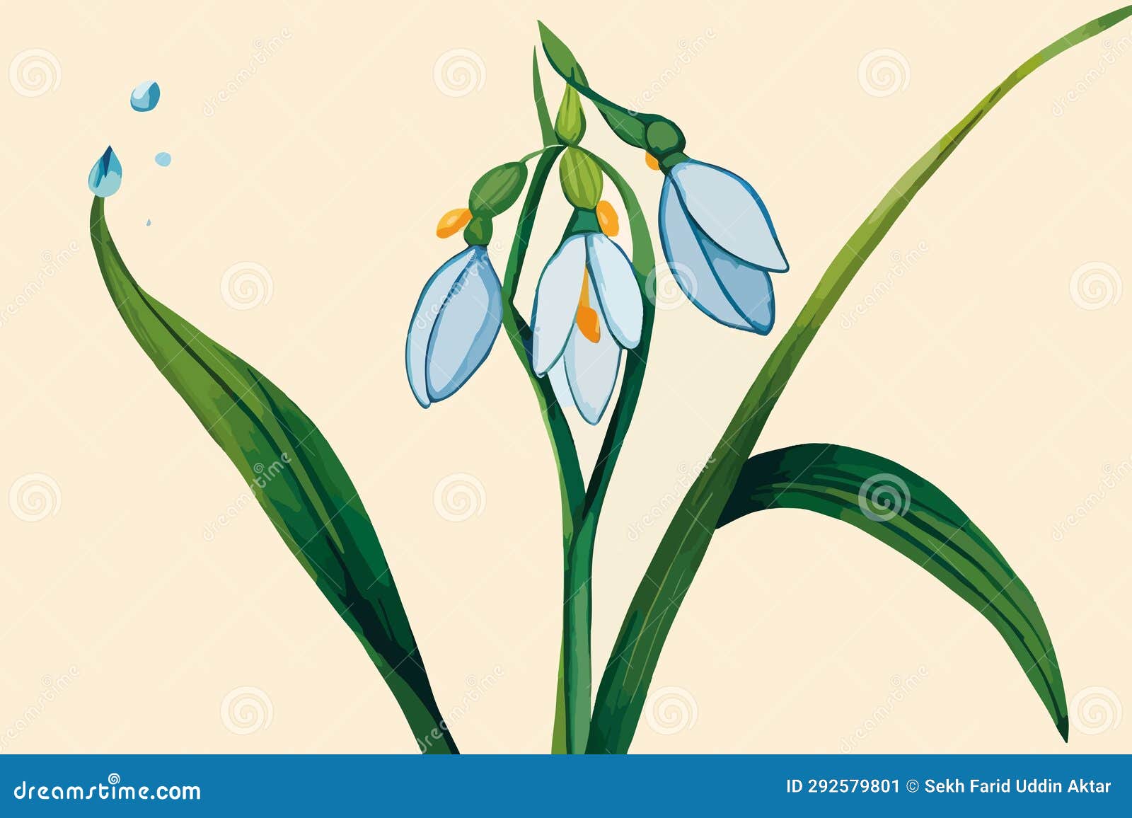 Snowdrop Flower Watercolor Art and Illustration Created with Ai Stock ...