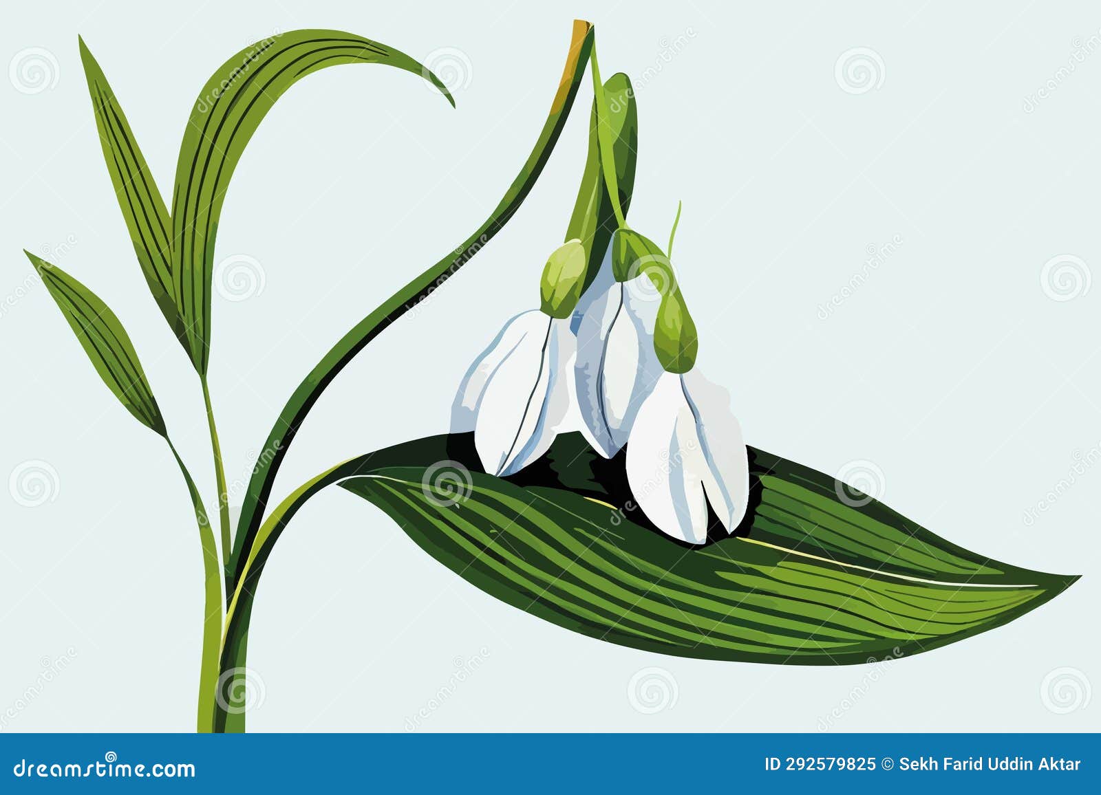 Snowdrop Flower Watercolor Art and Illustration Created with Ai Stock ...
