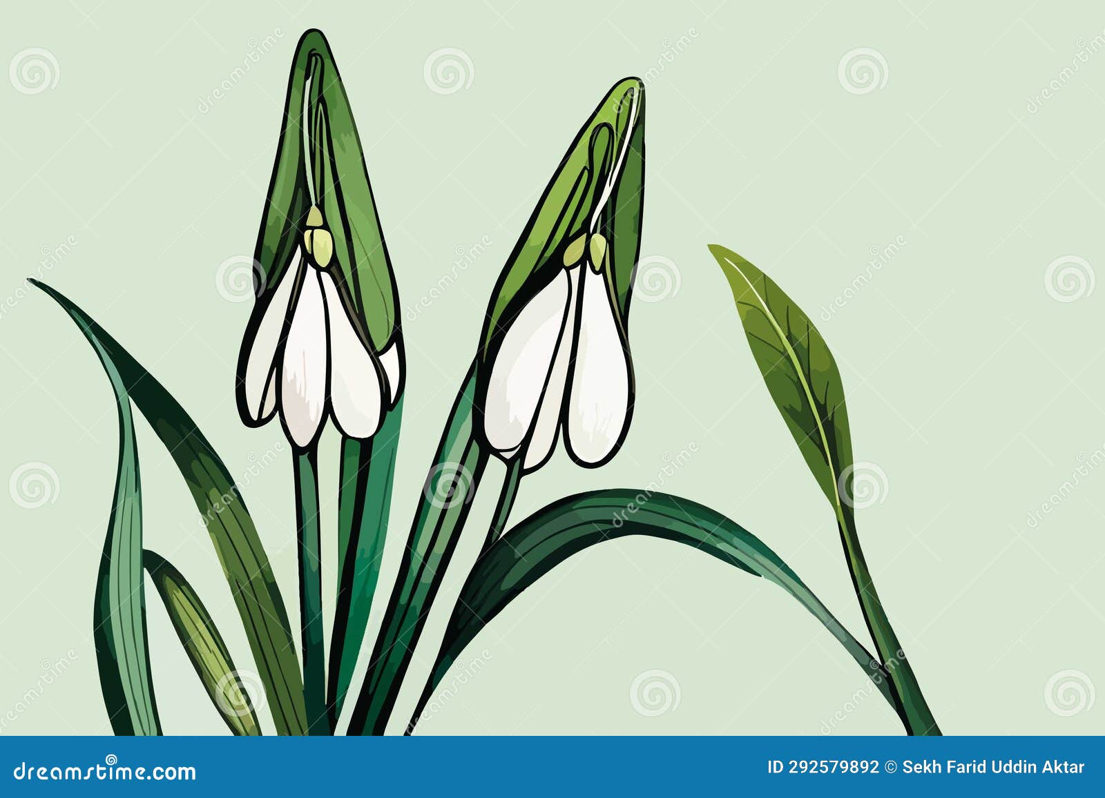Snowdrop Flower Watercolor Art and Illustration Created with Ai Stock ...
