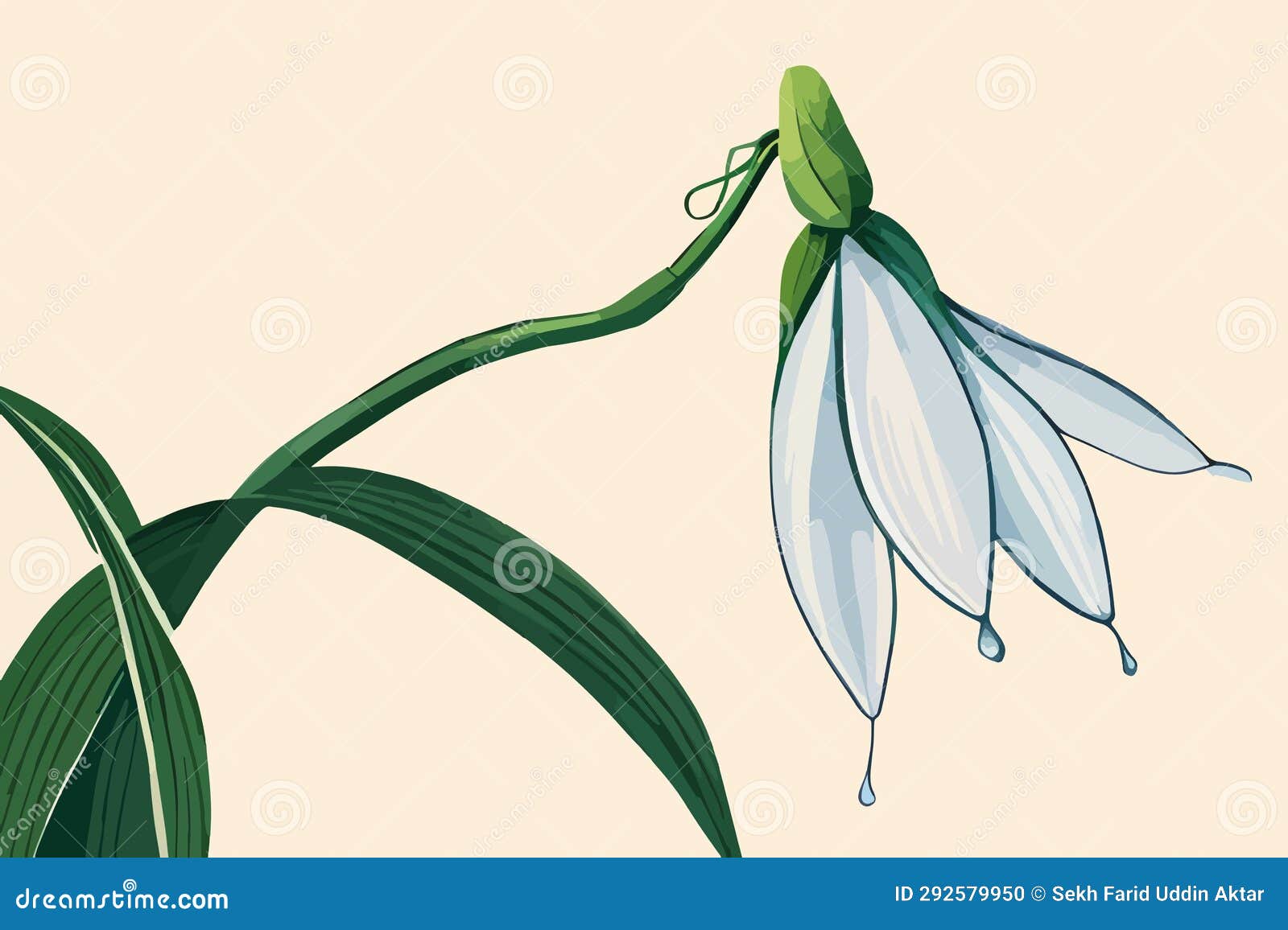 Snowdrop Flower Watercolor Art and Illustration Created with Ai Stock ...