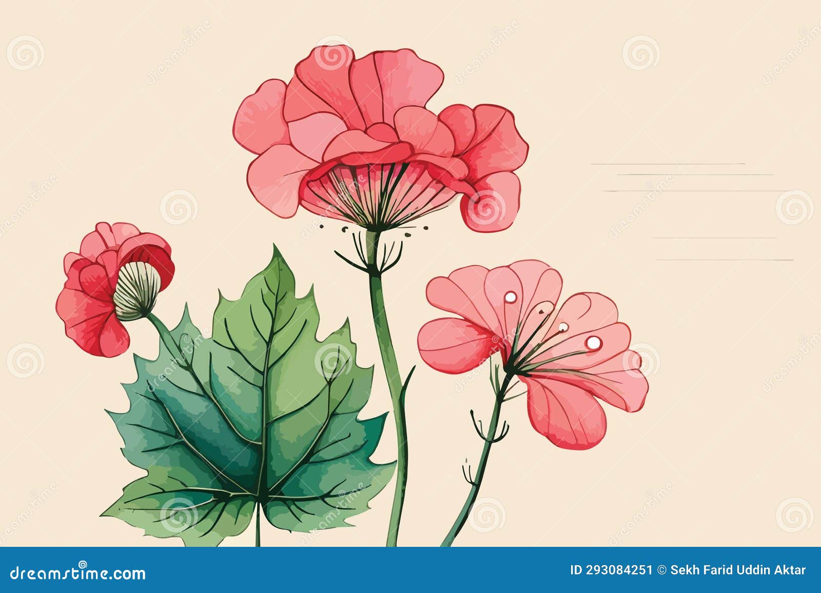 Geranium Watercolor Art and Illustration Created with Ai Stock Vector ...