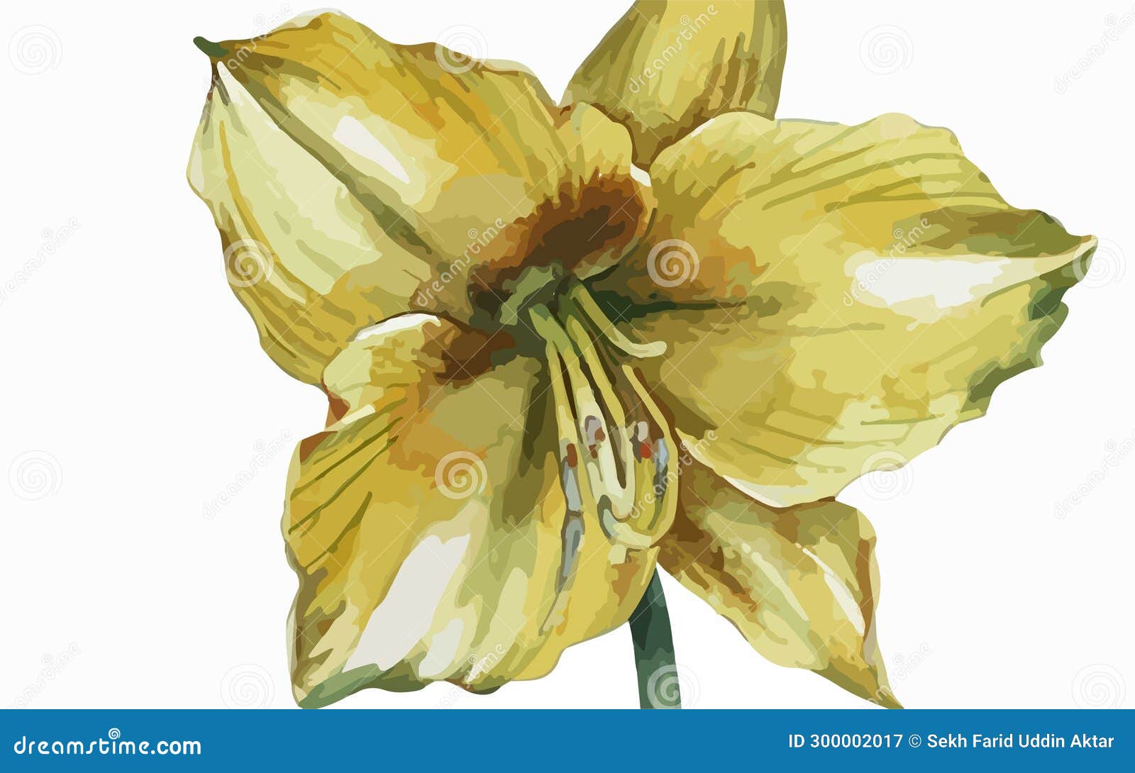 Amaryllis Flower Watercolor Art and Illustration Created with Ai Stock ...