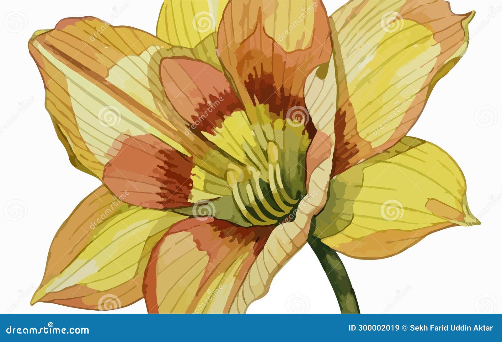 Amaryllis Flower Watercolor Art and Illustration Created with Ai Stock ...