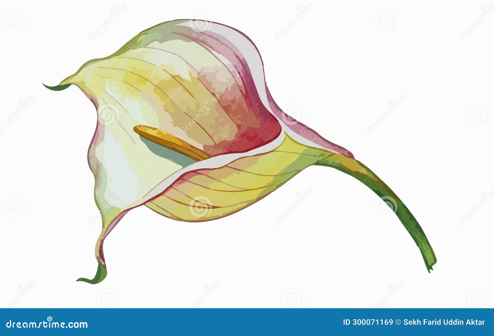 Red Calla Lily Flower Watercolor Art and Illustration Created with Ai ...