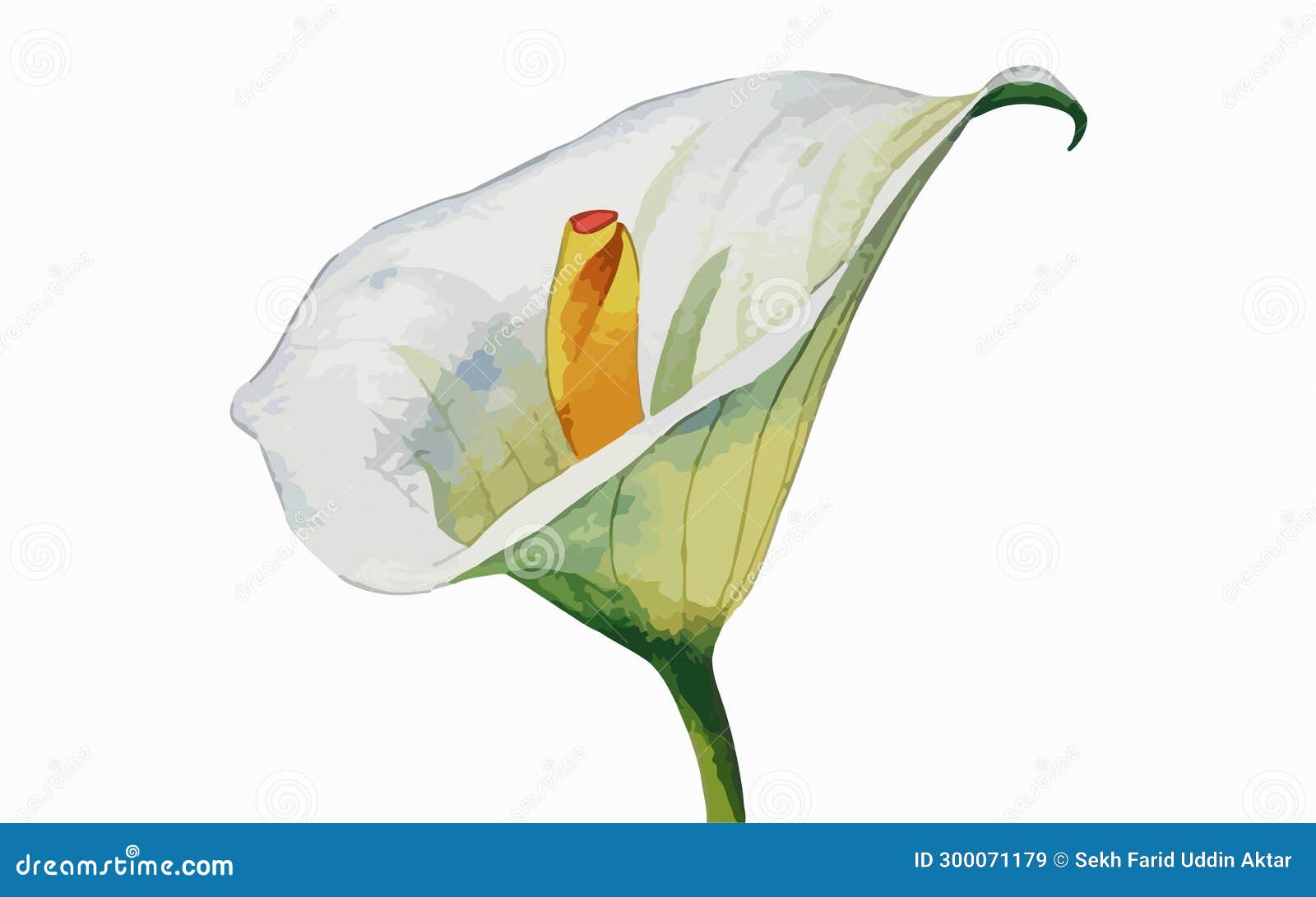 Red Calla Lily Flower Watercolor Art and Illustration Created with Ai ...