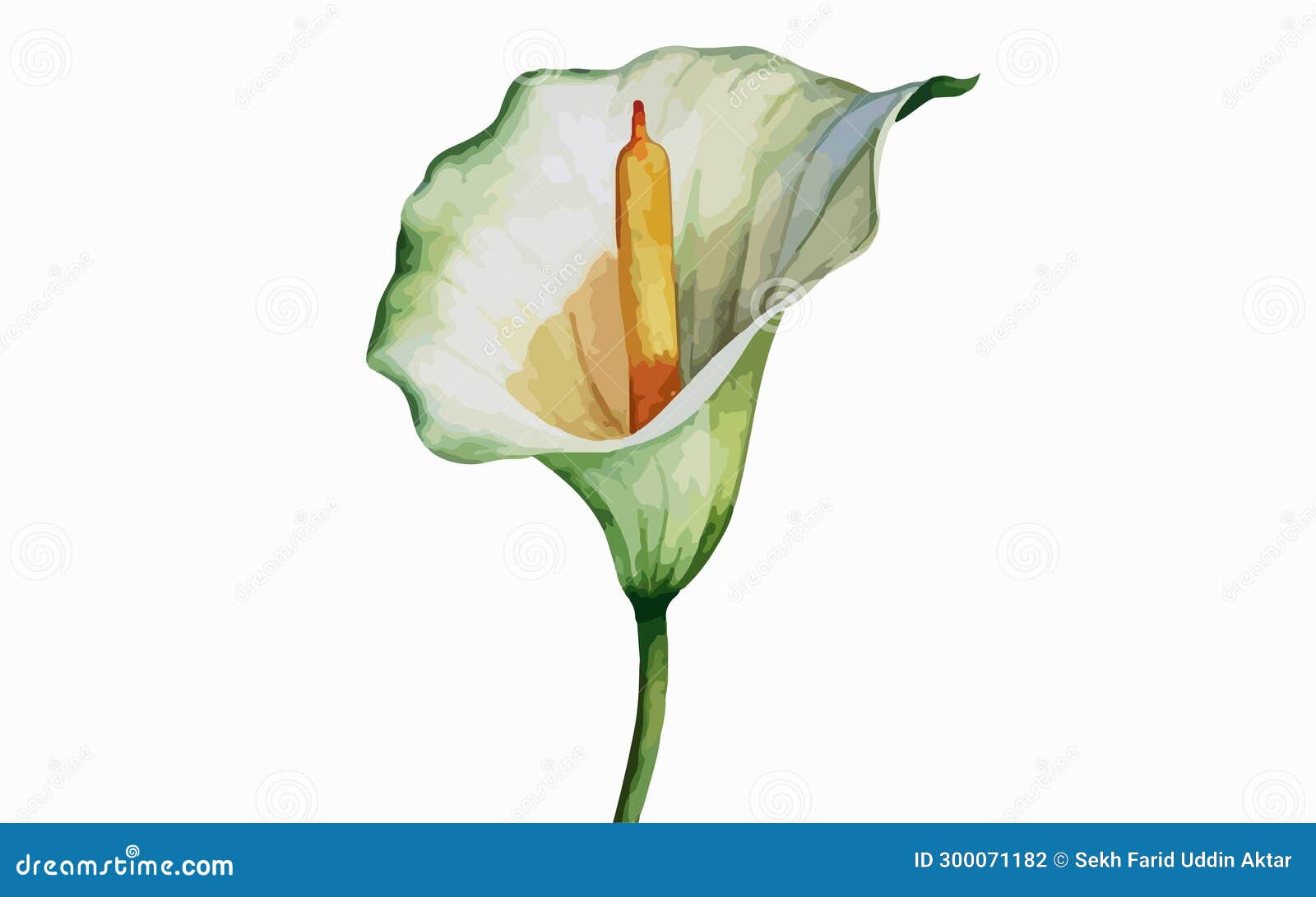 Red Calla Lily Flower Watercolor Art and Illustration Created with Ai ...