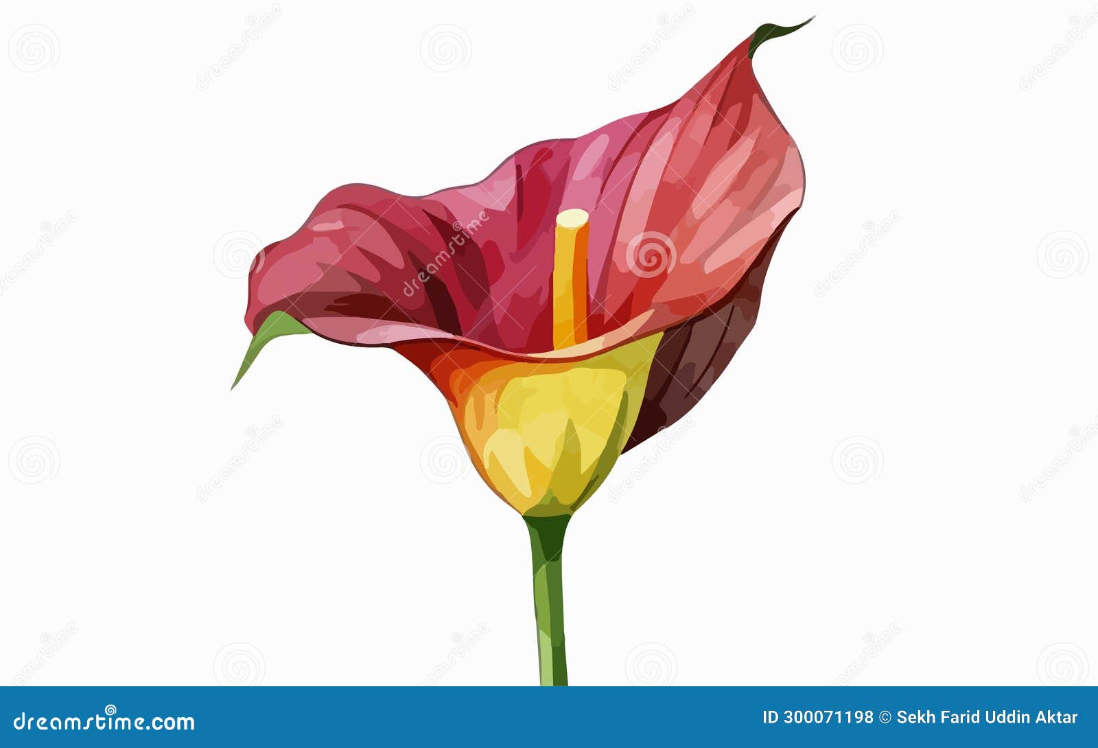 Red Calla Lily Flower Watercolor Art and Illustration Created with Ai ...