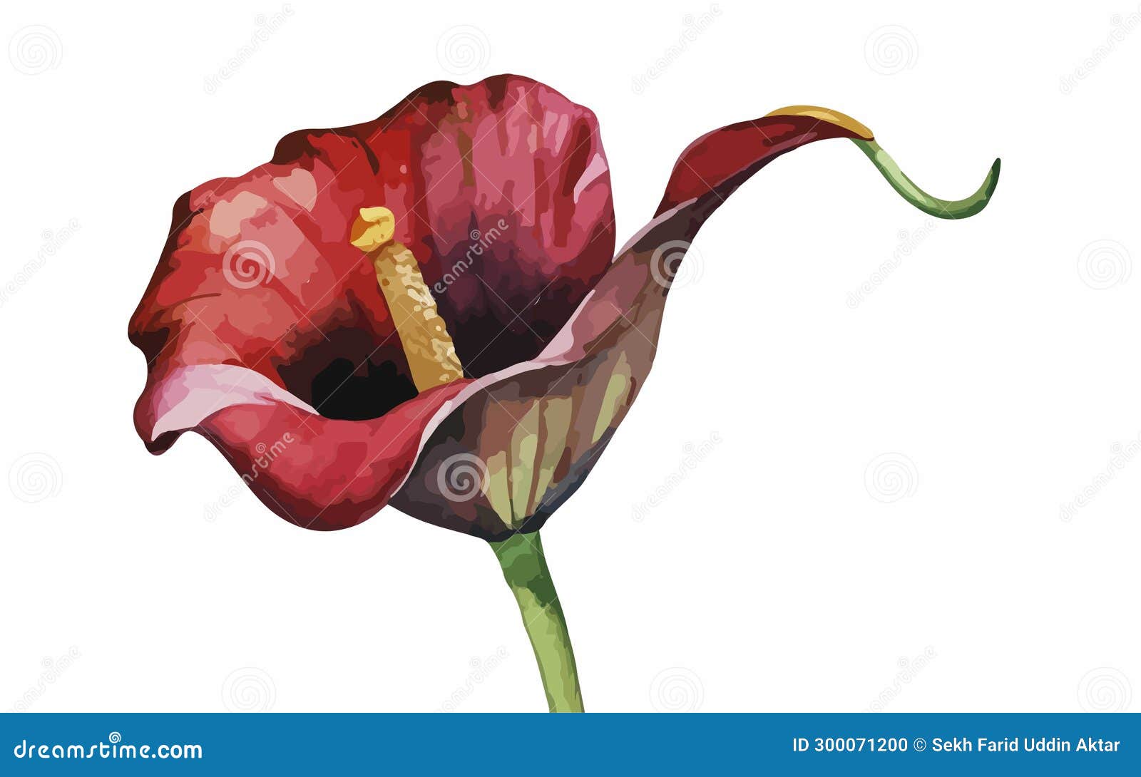 Red Calla Lily Flower Watercolor Art and Illustration Created with Ai ...
