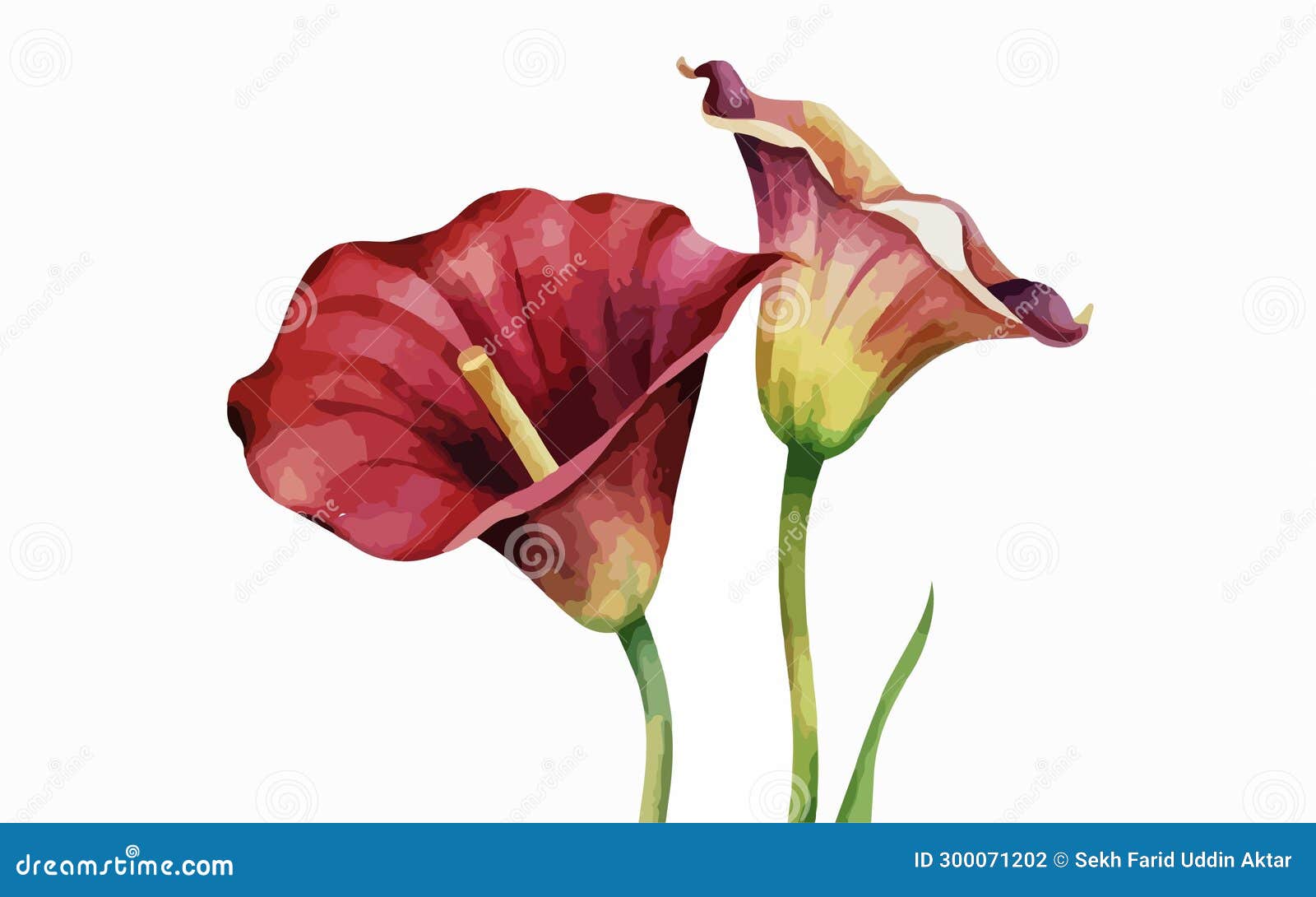 Red Calla Lily Flower Watercolor Art and Illustration Created with Ai ...