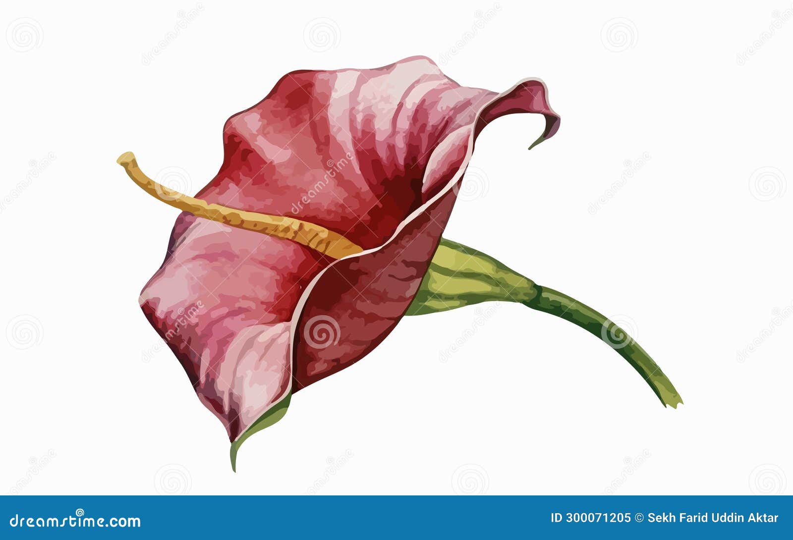 Red Calla Lily Flower Watercolor Art and Illustration Created with Ai ...