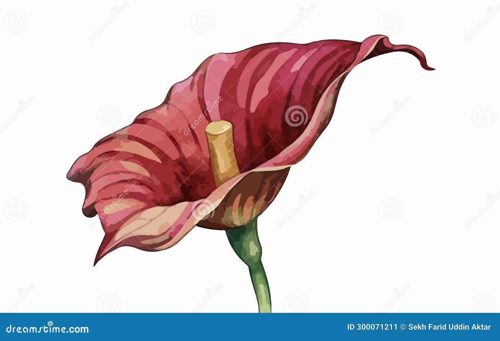 Red Calla Lily Flower Watercolor Art and Illustration Created with Ai ...