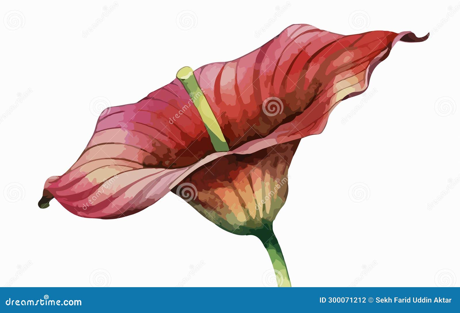 Red Calla Lily Flower Watercolor Art and Illustration Created with Ai ...